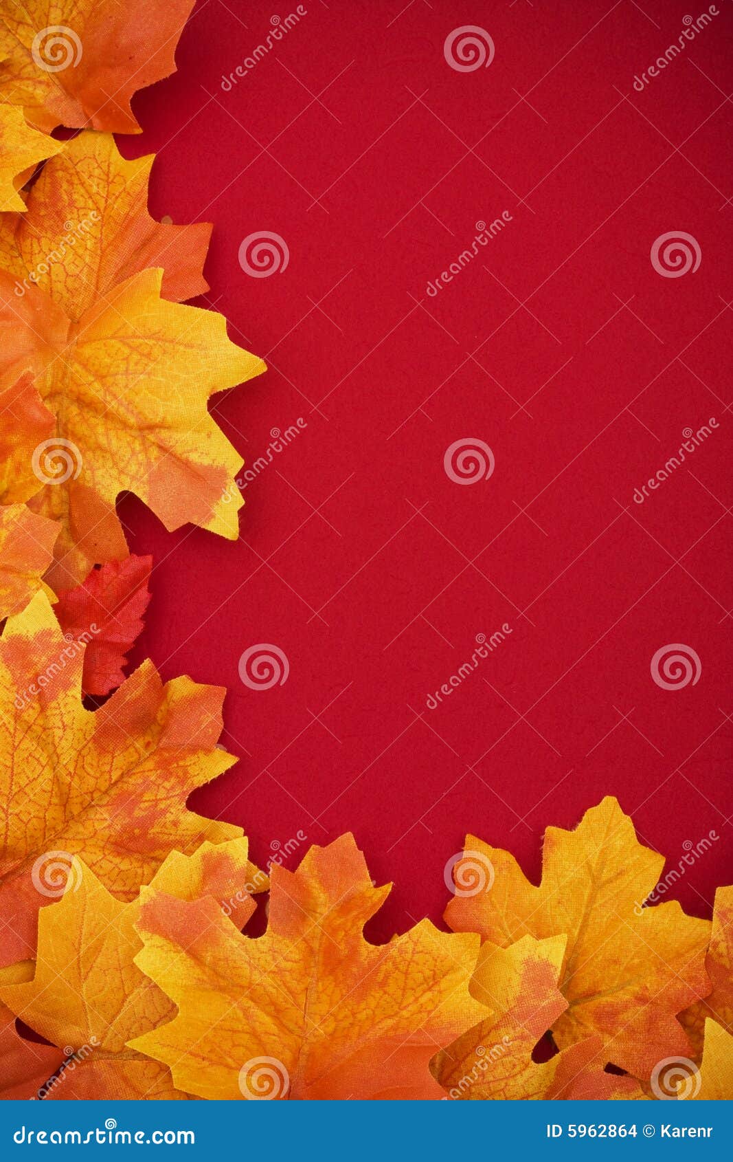 Fall Border stock photo. Image of space, month, leaves - 5962864