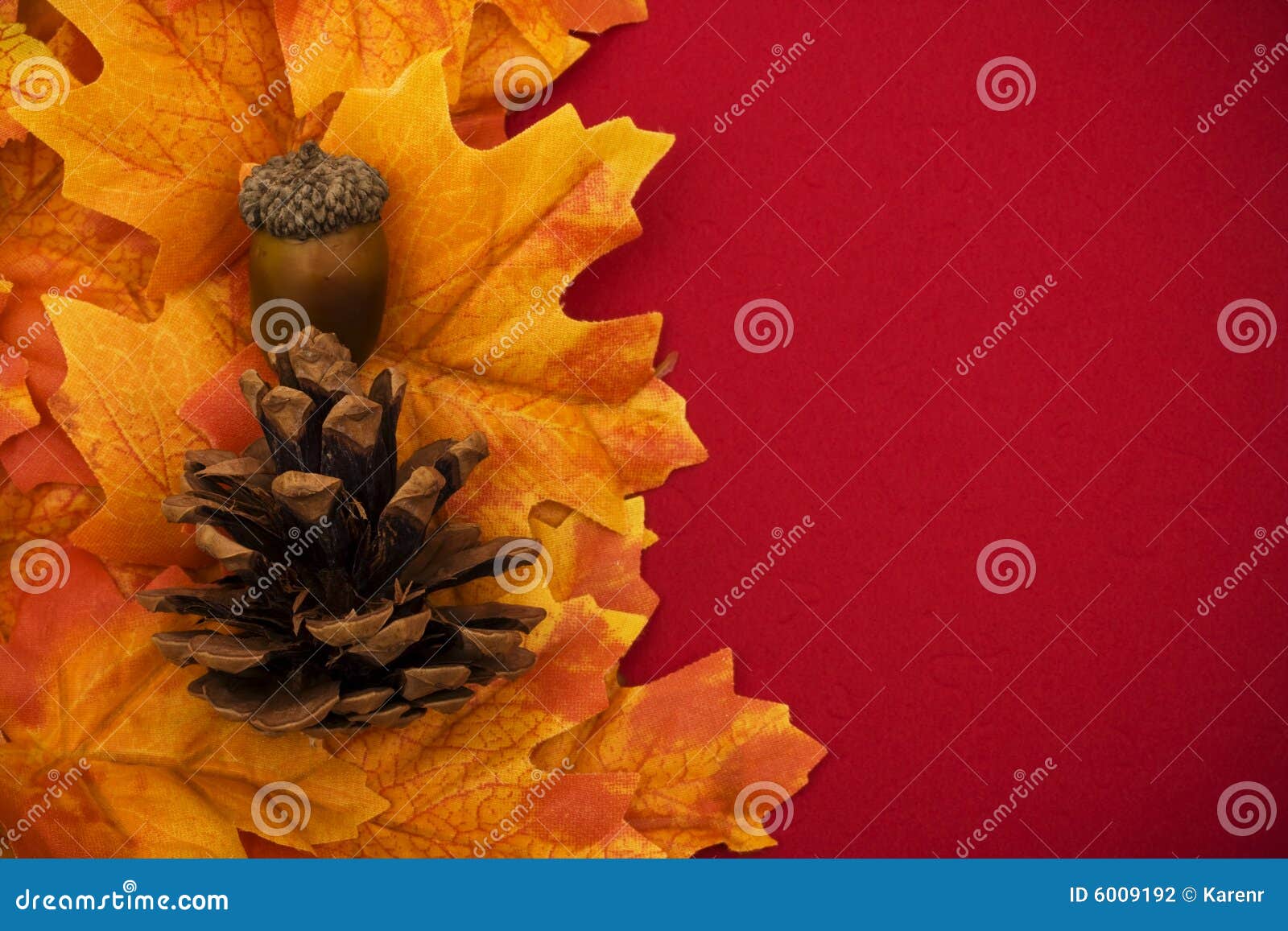 Fall Border stock photo. Image of space, colourful, season - 6009192