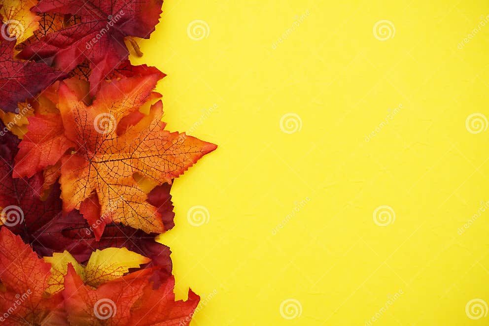 Fall Border stock image. Image of orange, fall, symbol - 6017593