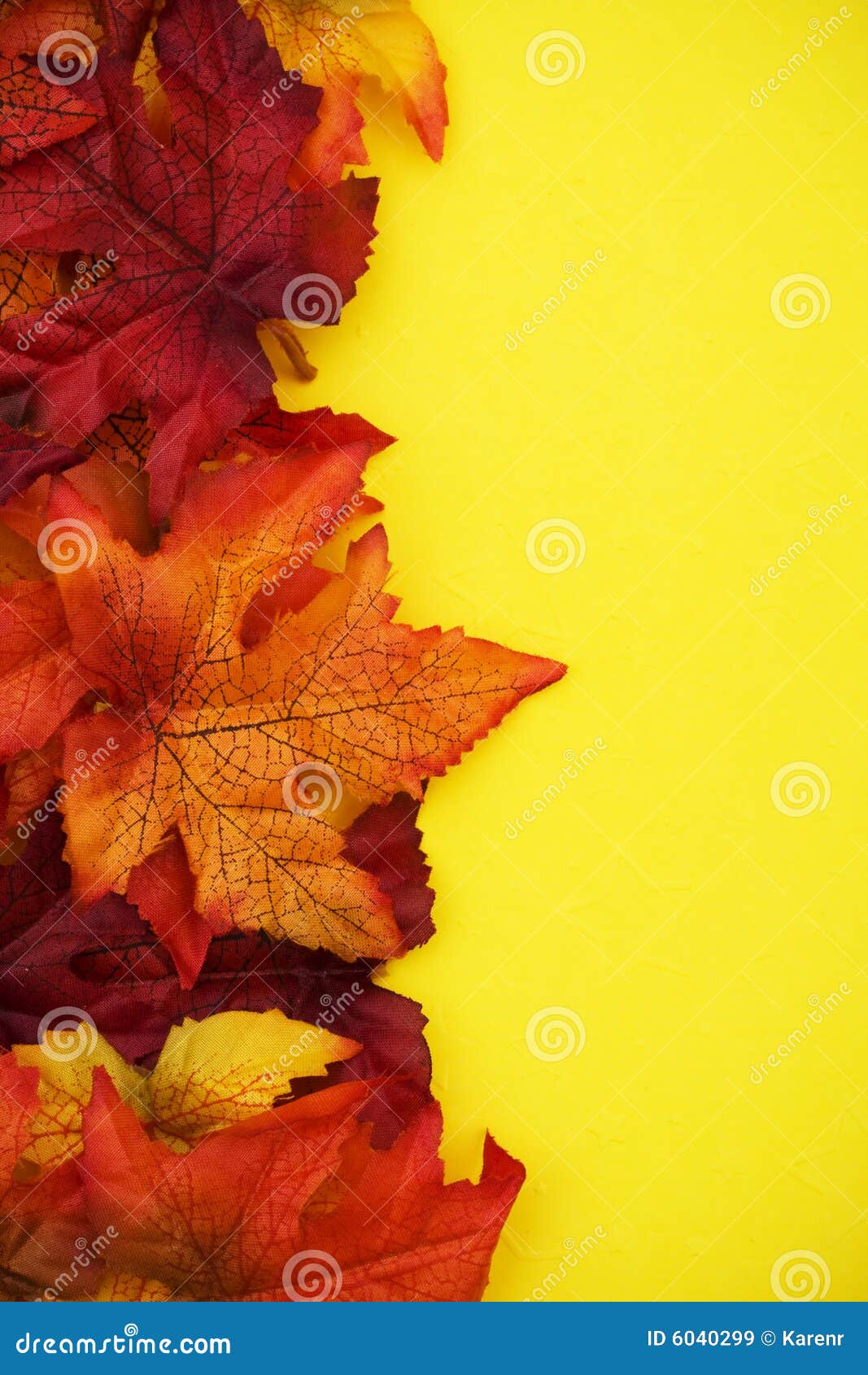 Fall Border stock image. Image of symbol, space, colourful - 6040299