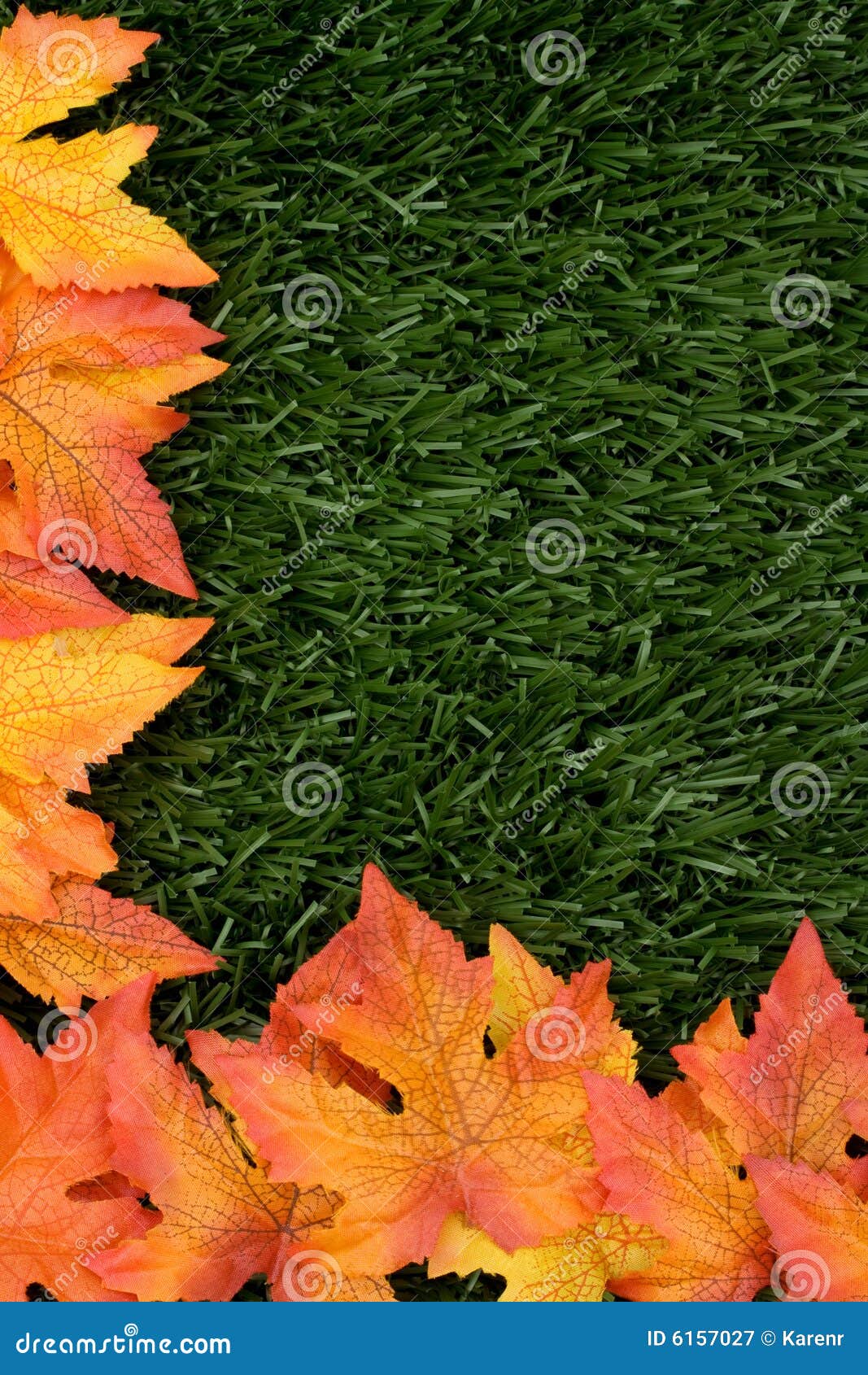 Fall Border stock image. Image of tree, decorate, orange - 6157027