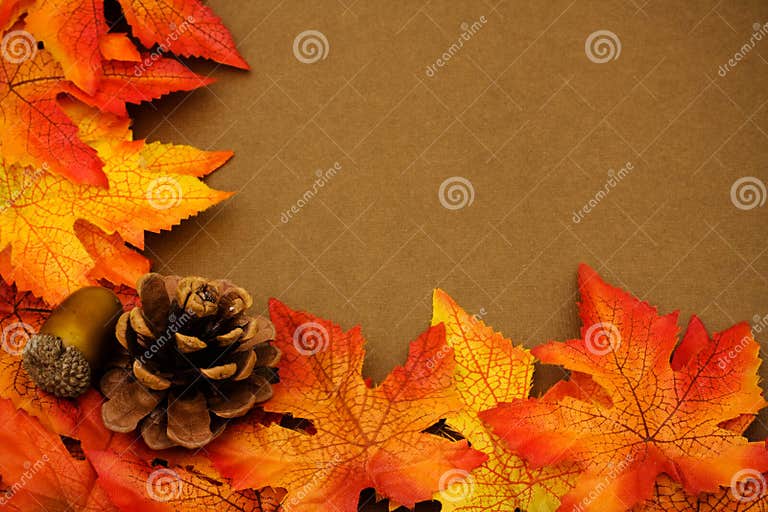 Fall Border stock photo. Image of autumn, tree, border - 6165558
