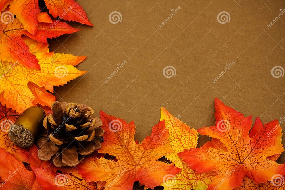 Fall Border stock photo. Image of autumn, tree, border - 6165558