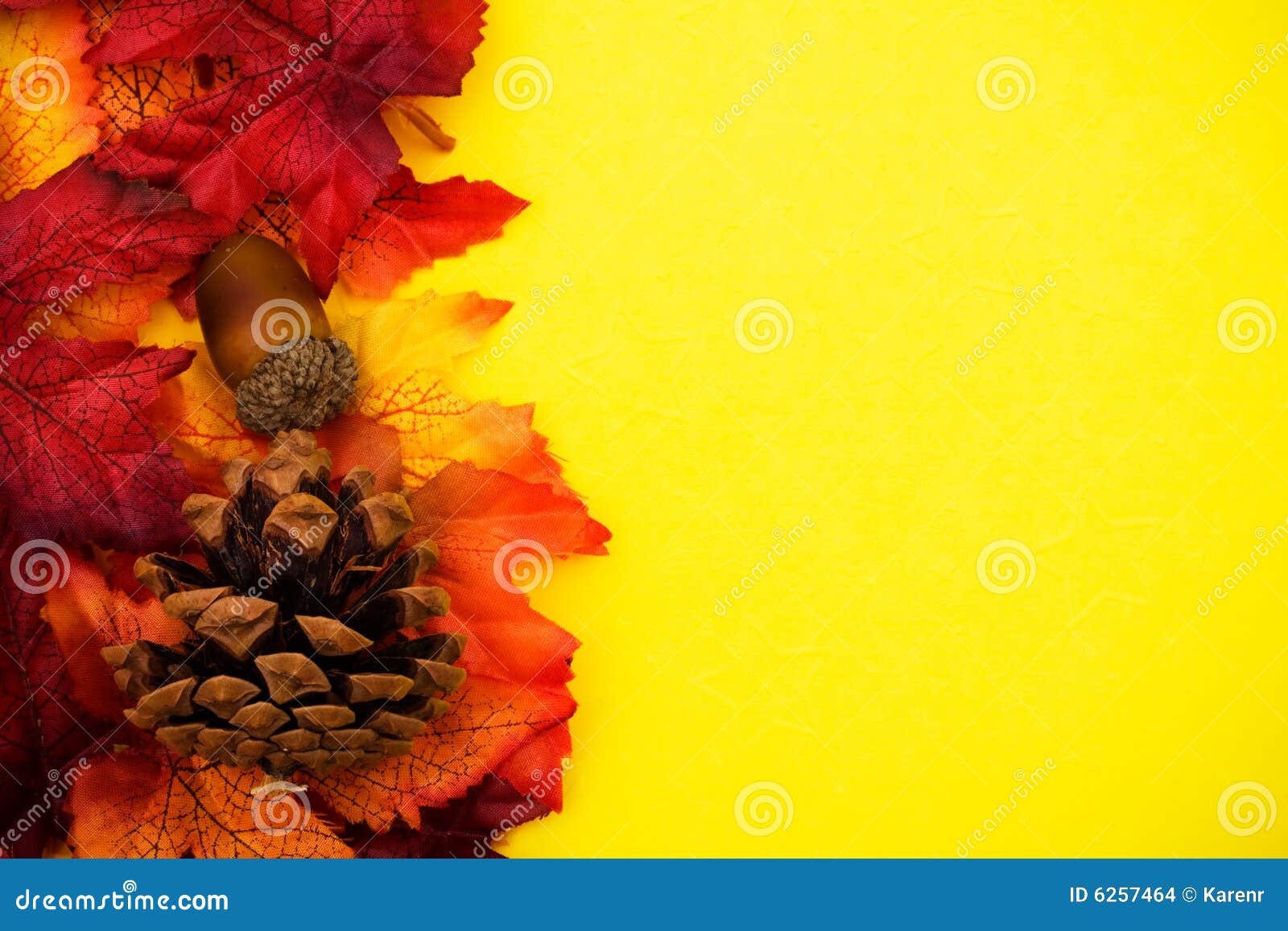 Fall Border stock photo. Image of background, leaves, acorn - 6257464