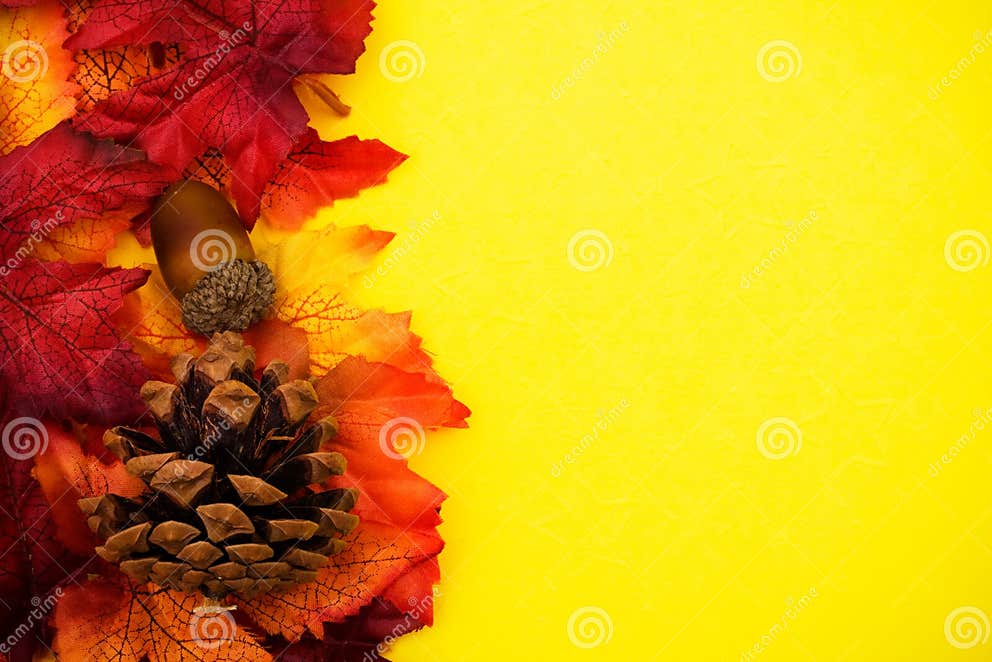 Fall Border stock photo. Image of background, leaves, acorn - 6257464