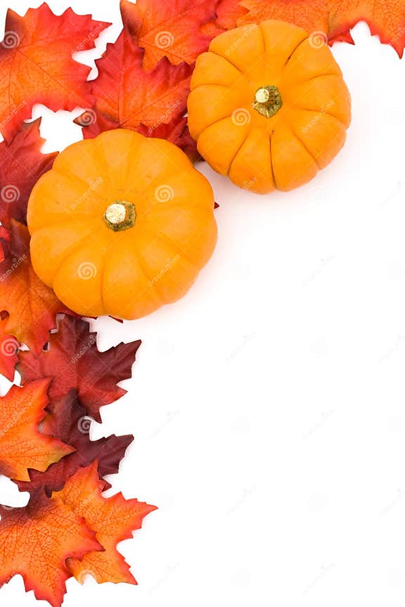 Fall Border stock image. Image of decoration, fall, pumpkin - 6446183