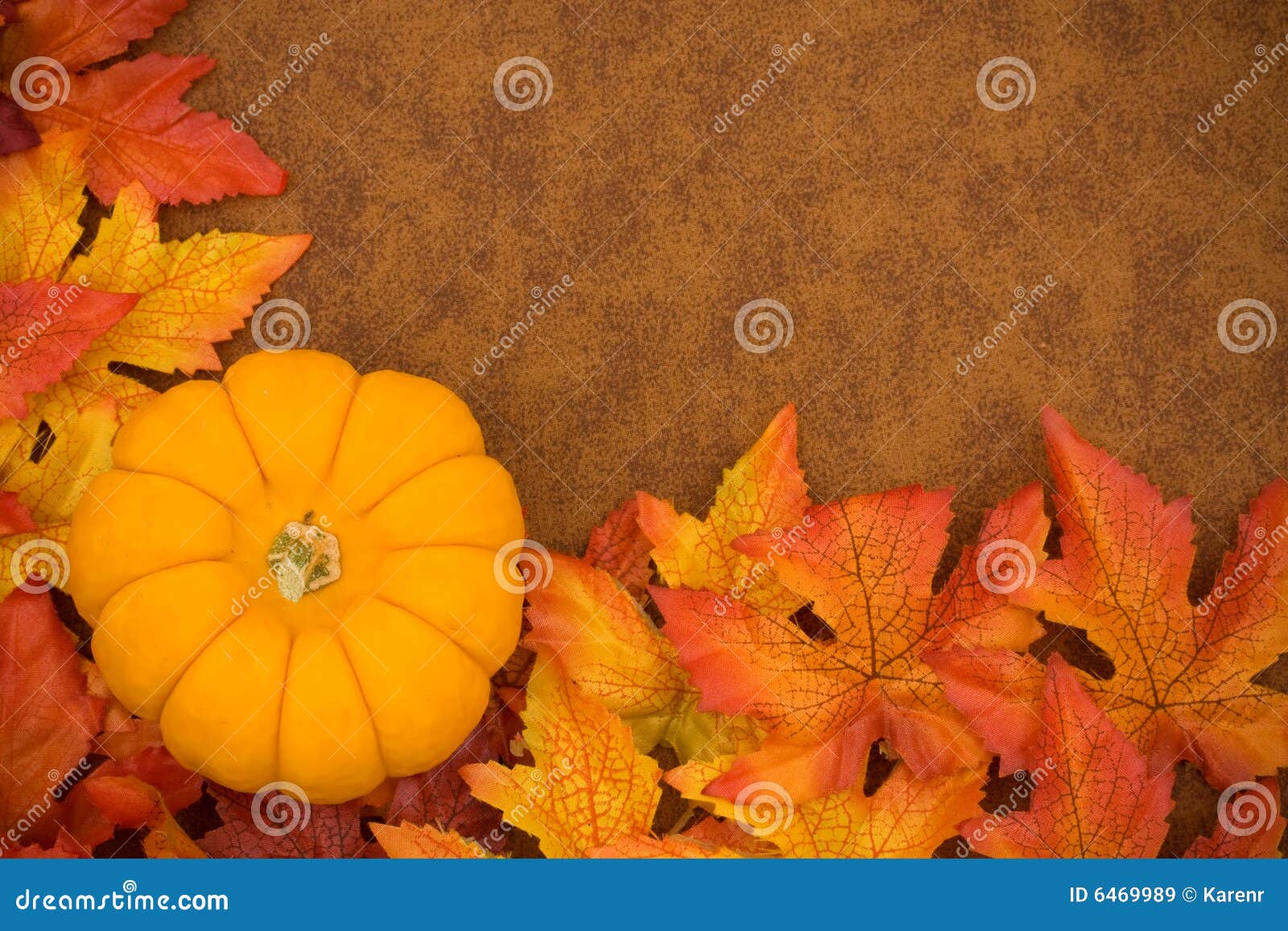 Fall Border stock image. Image of thanksgiving, leaf, orange - 6469989