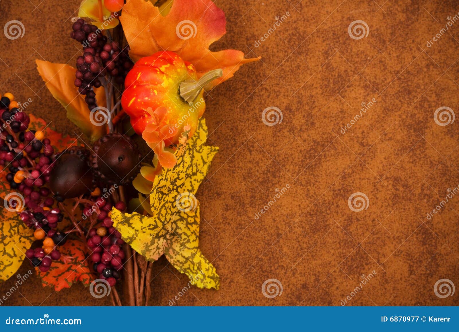 Fall Border stock image. Image of leaf, plant, colourful - 6870977