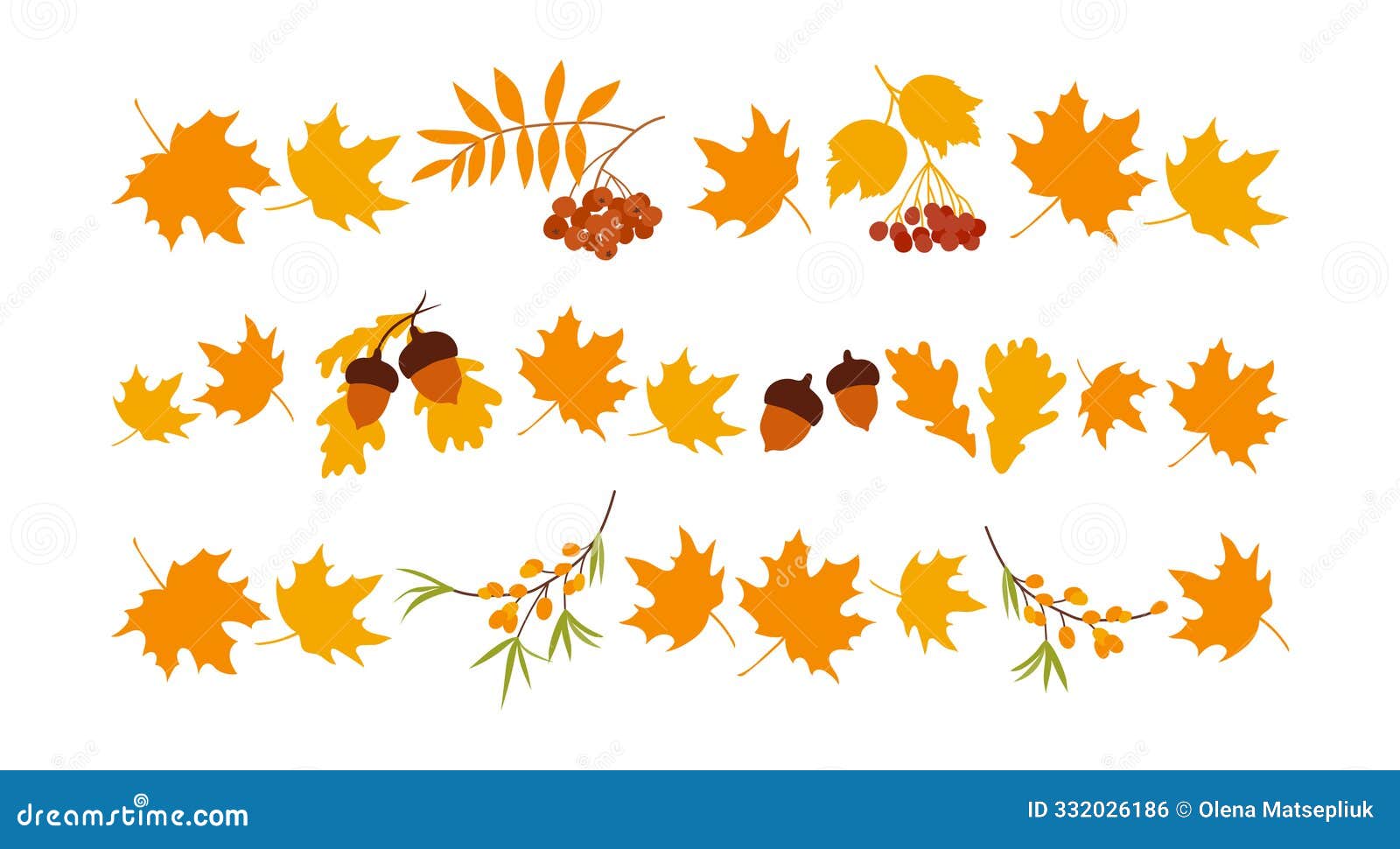 Fall Border Lines from Autumn Botanical Leaves, Berries, Acorns. Set of ...