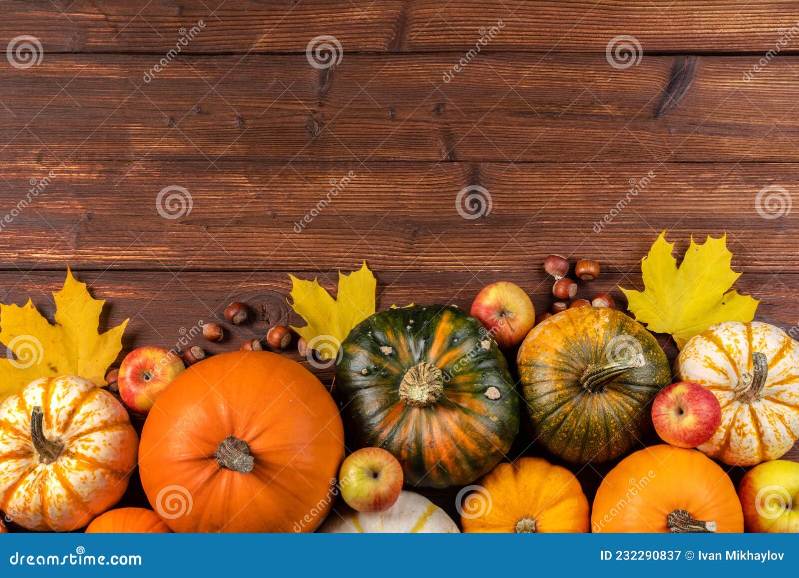 Fall Border Pumpkins Leaves and Apples Stock Image - Image of fall ...