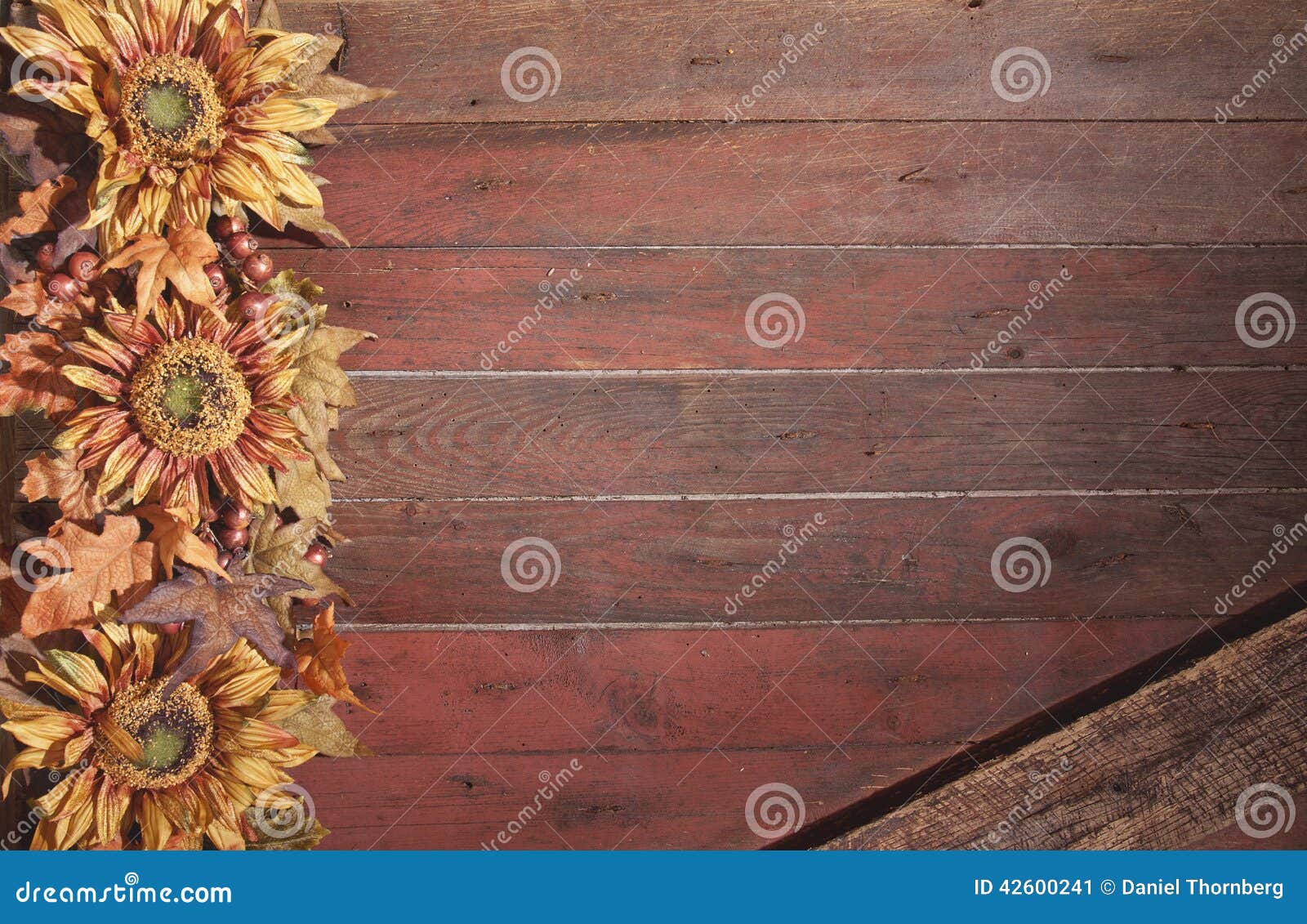 Sunflowers With A Grunge Rustic Wooden Background Stock Photography ...