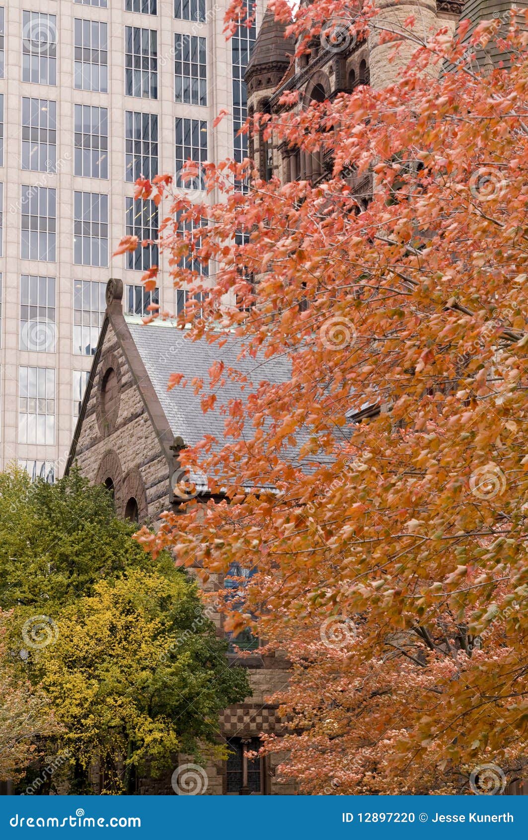 Fall in Boston stock photo. Image of orange, boston, fall - 12897220