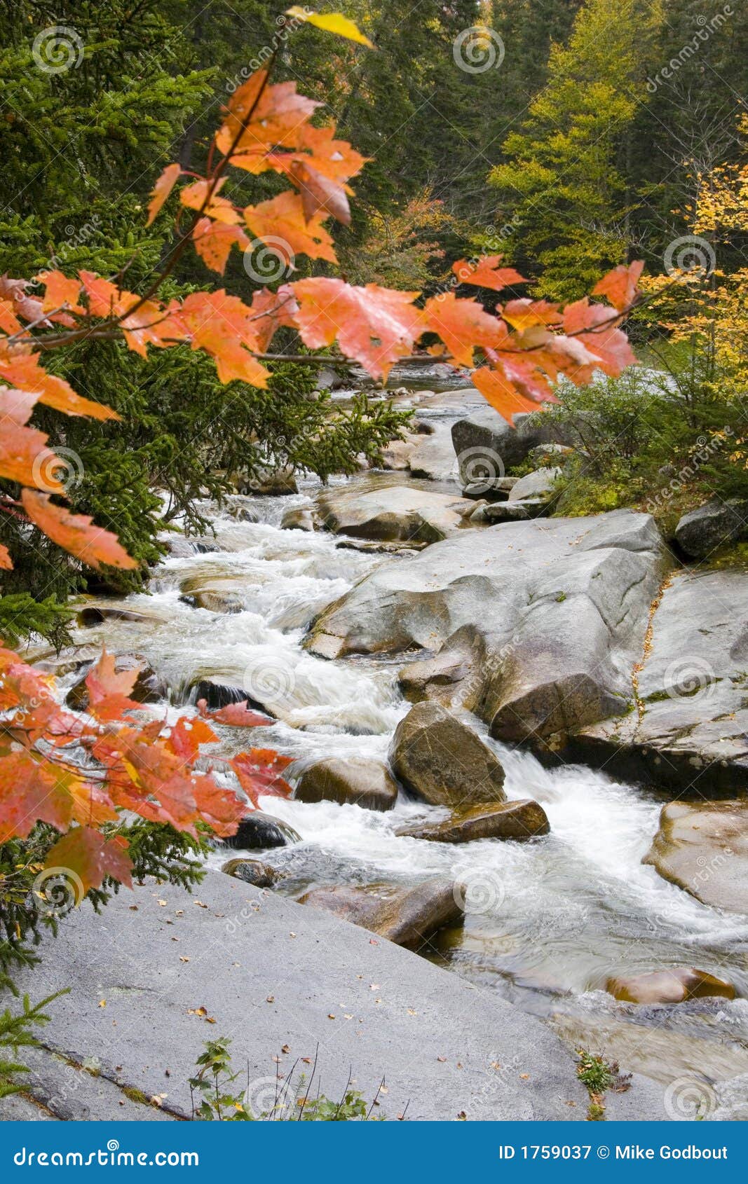 Fall Brook stock image. Image of leaves, trees, woods - 1759037