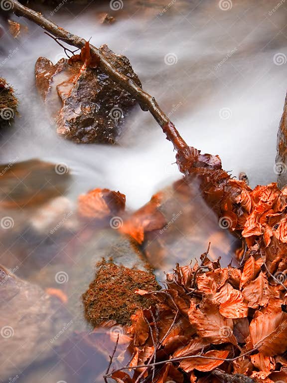 Fall brook stock photo. Image of breathtaking, ecology - 264898
