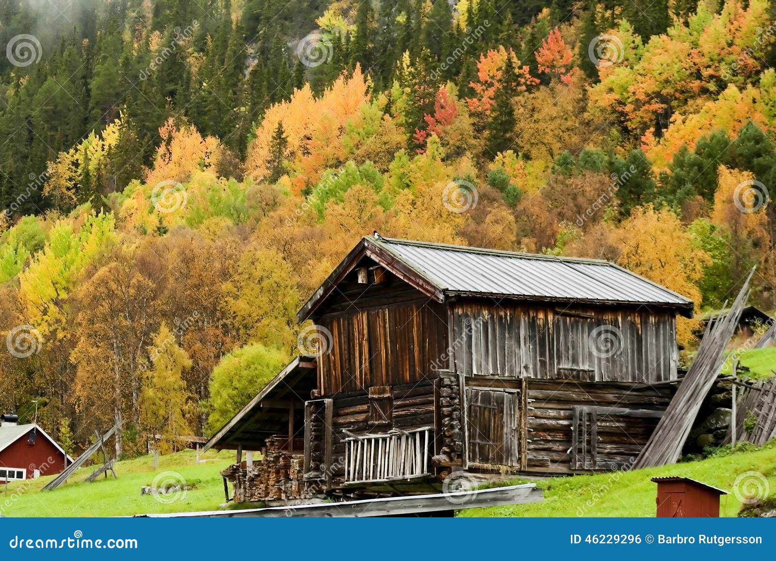 Fall stock photo. Image of buildings, wood, clour, grass - 46229296