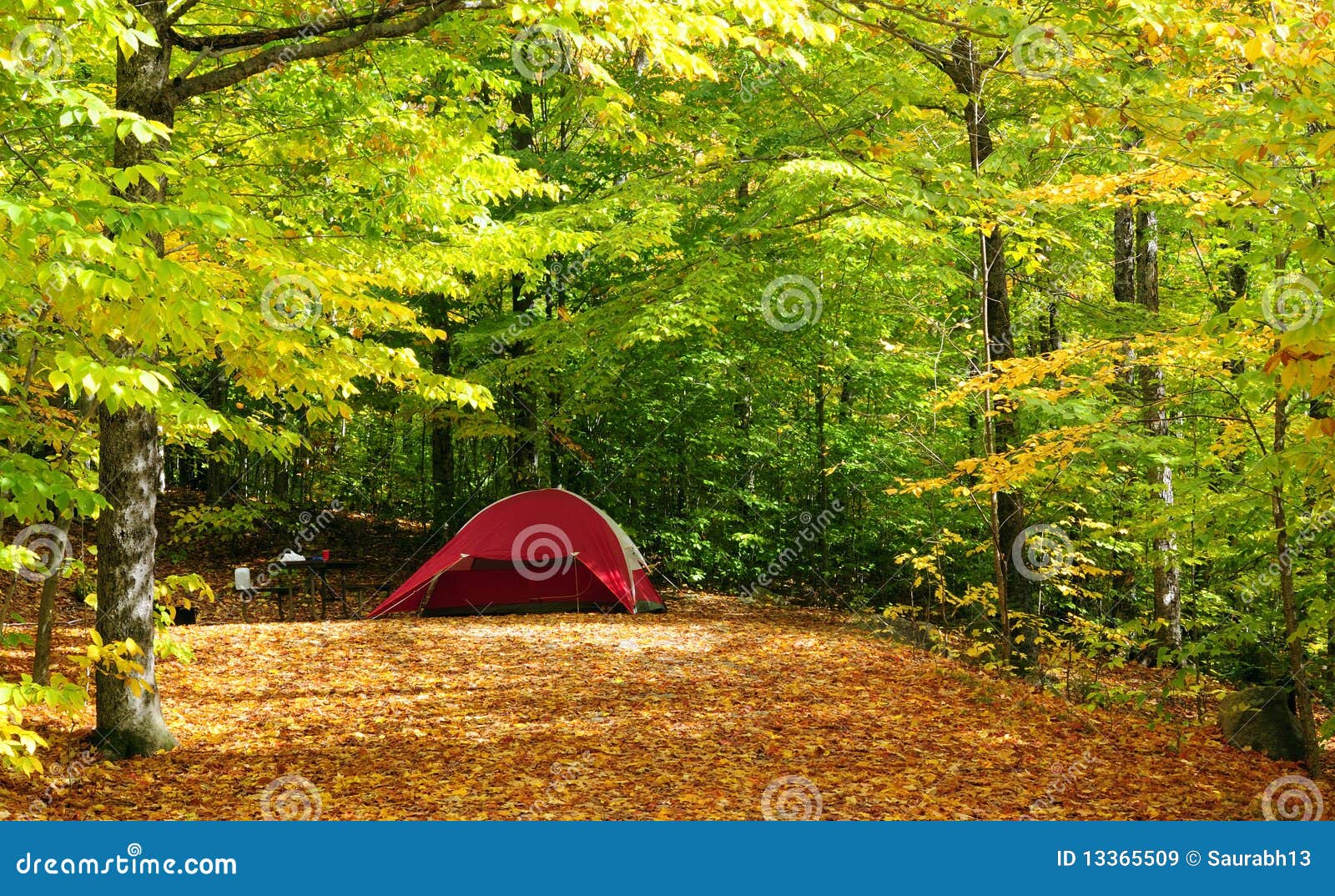 Fall camping stock image. Image of tranquil, road, environment - 13365509