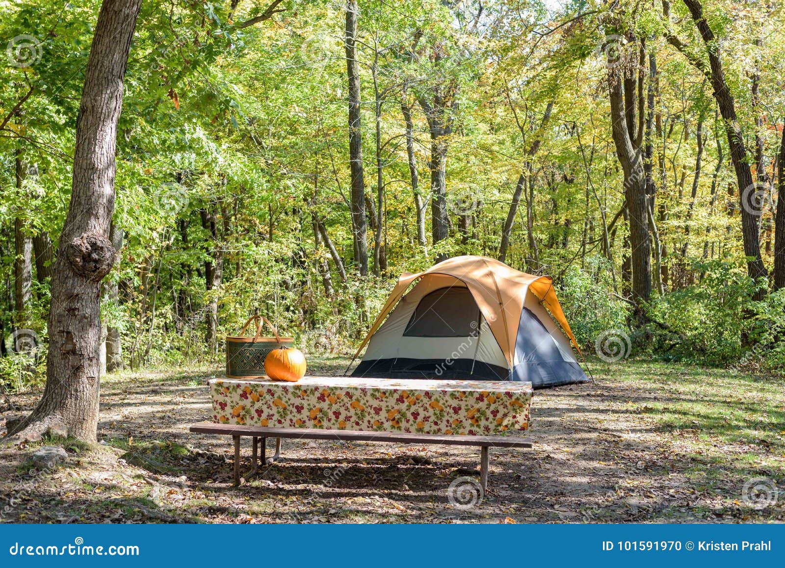 Fall Camping at the State Park Stock Photo - Image of camping, wooded ...