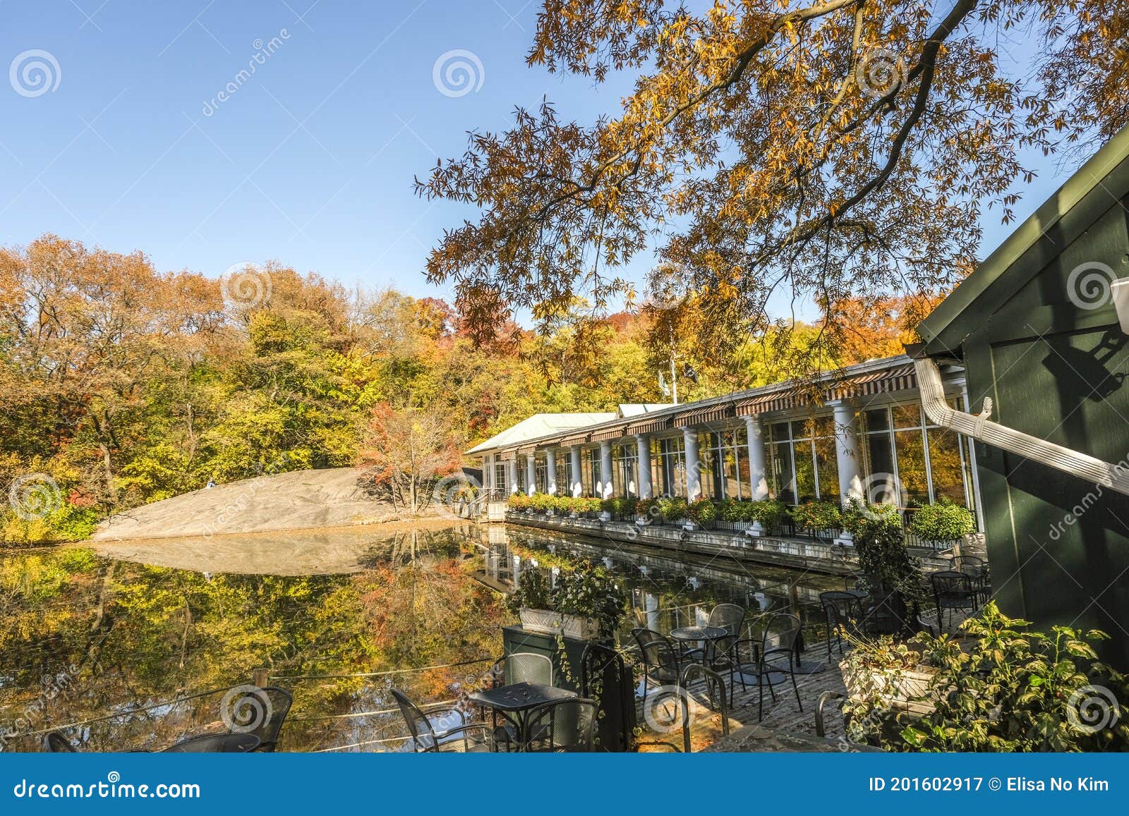Fall in Central park stock image. Image of pathway, autumn - 201602917