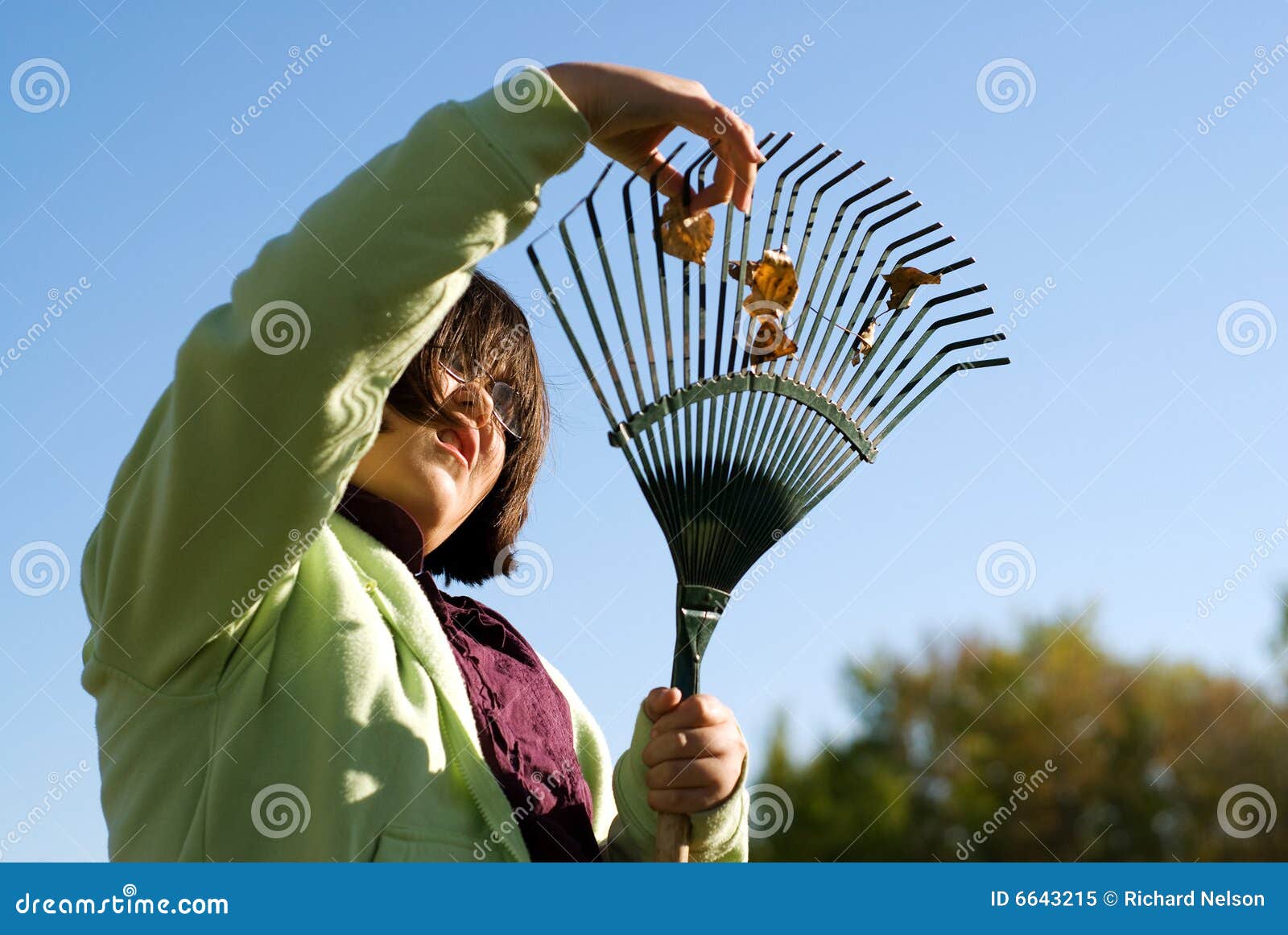Fall Chores stock image. Image of youth, nine, child, female - 6643215