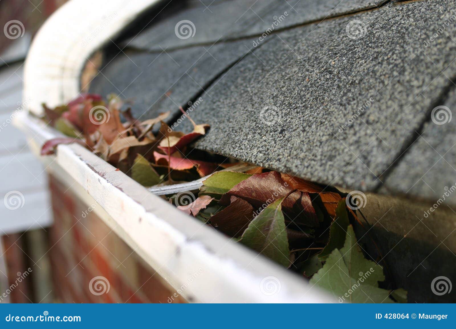 Fall Cleanup - Leaves in Gutter 5 Stock Photo - Image of roof, list: 428064