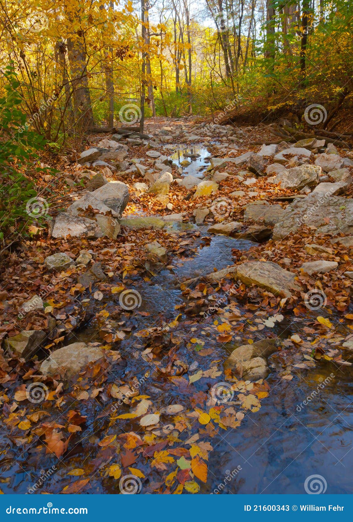 Fall in Cliff Cave Park stock image. Image of spring - 21600343