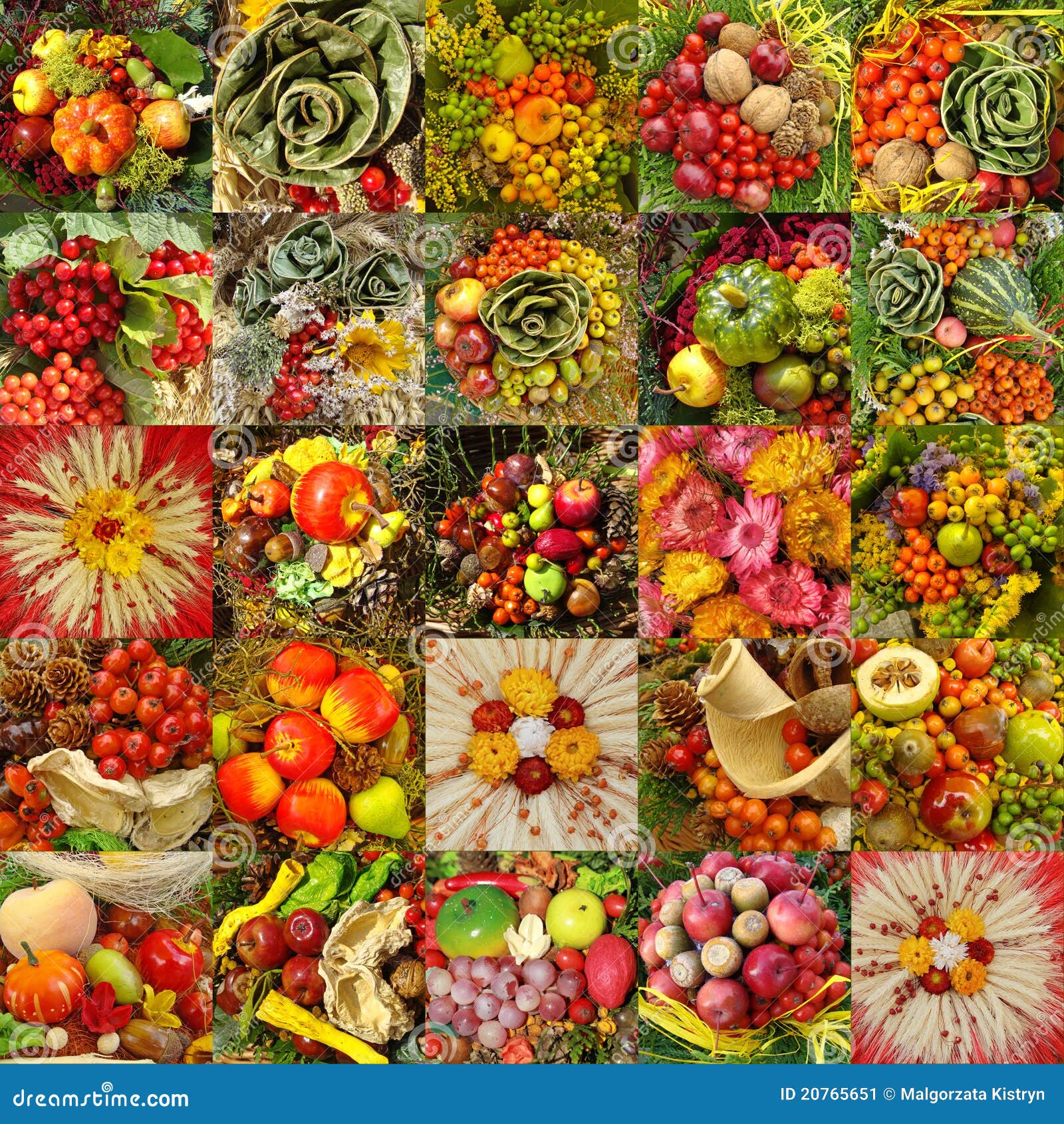 Fall collage stock image. Image of ornamental, fall, orange - 20765651