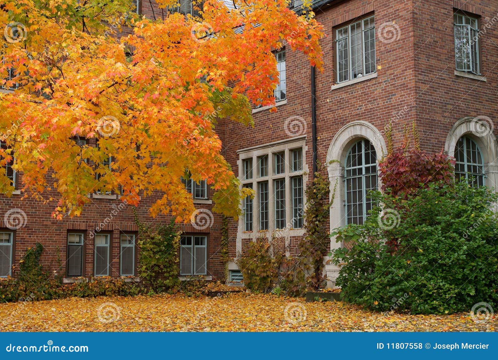 Fall College Campus stock photo. Image of campus, professor - 11807558