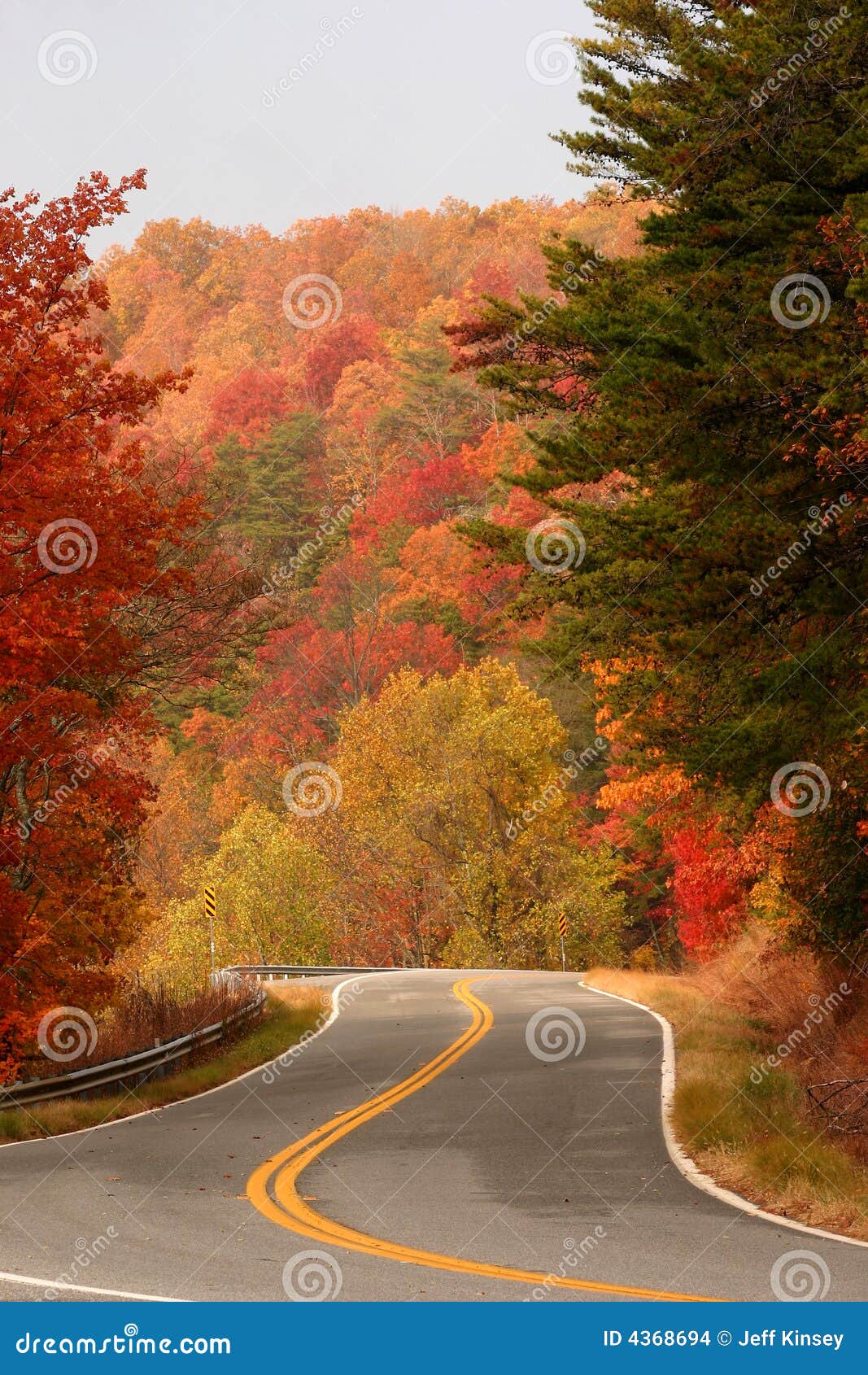 Fall Color stock photo. Image of curve, seasons, travel - 4368694