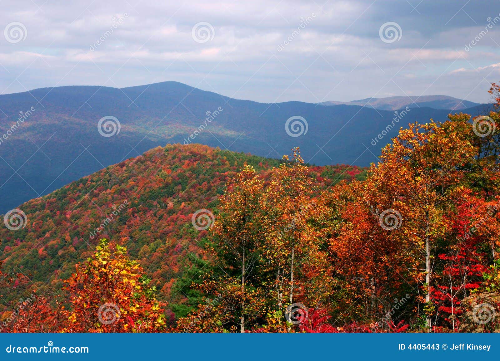 Fall Color stock image. Image of scenic, rural, tree, travel - 4405443