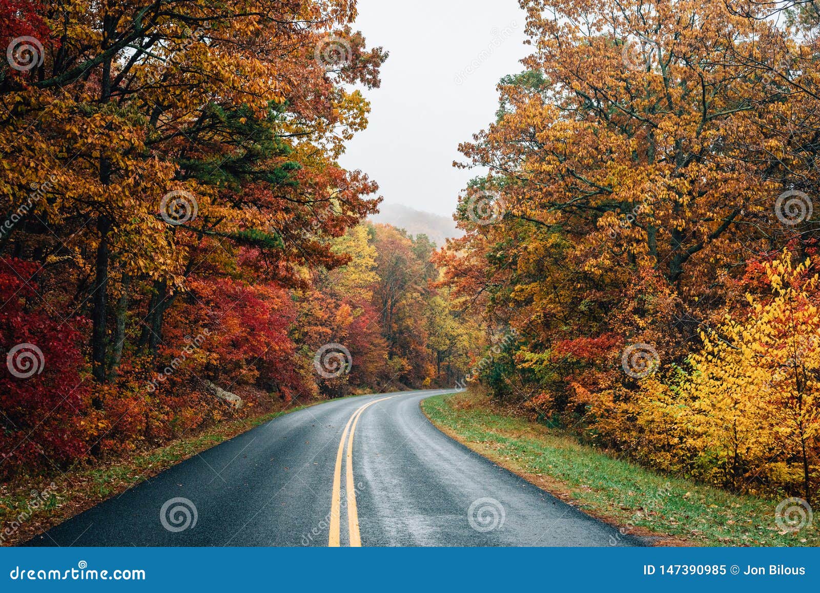 Fall Color Along the Blue Ridge Parkway in Virginia Stock Image - Image ...