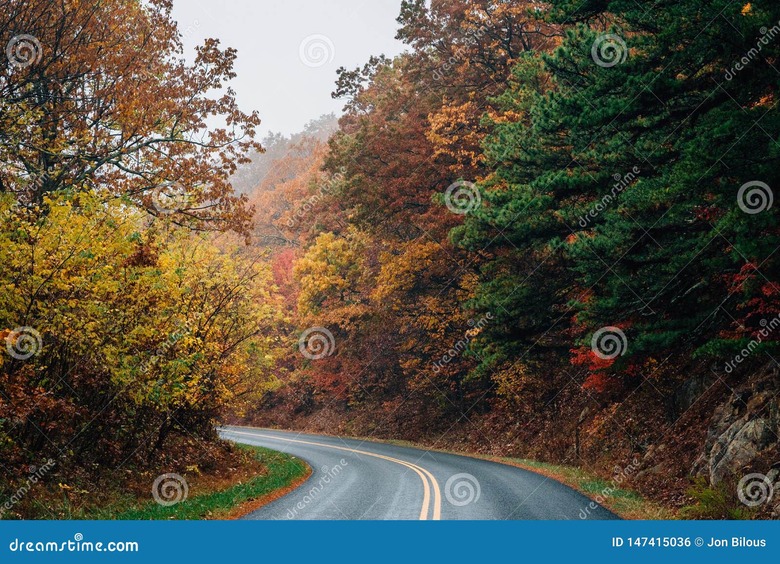 Fall Color Along the Blue Ridge Parkway in Virginia Stock Photo - Image ...