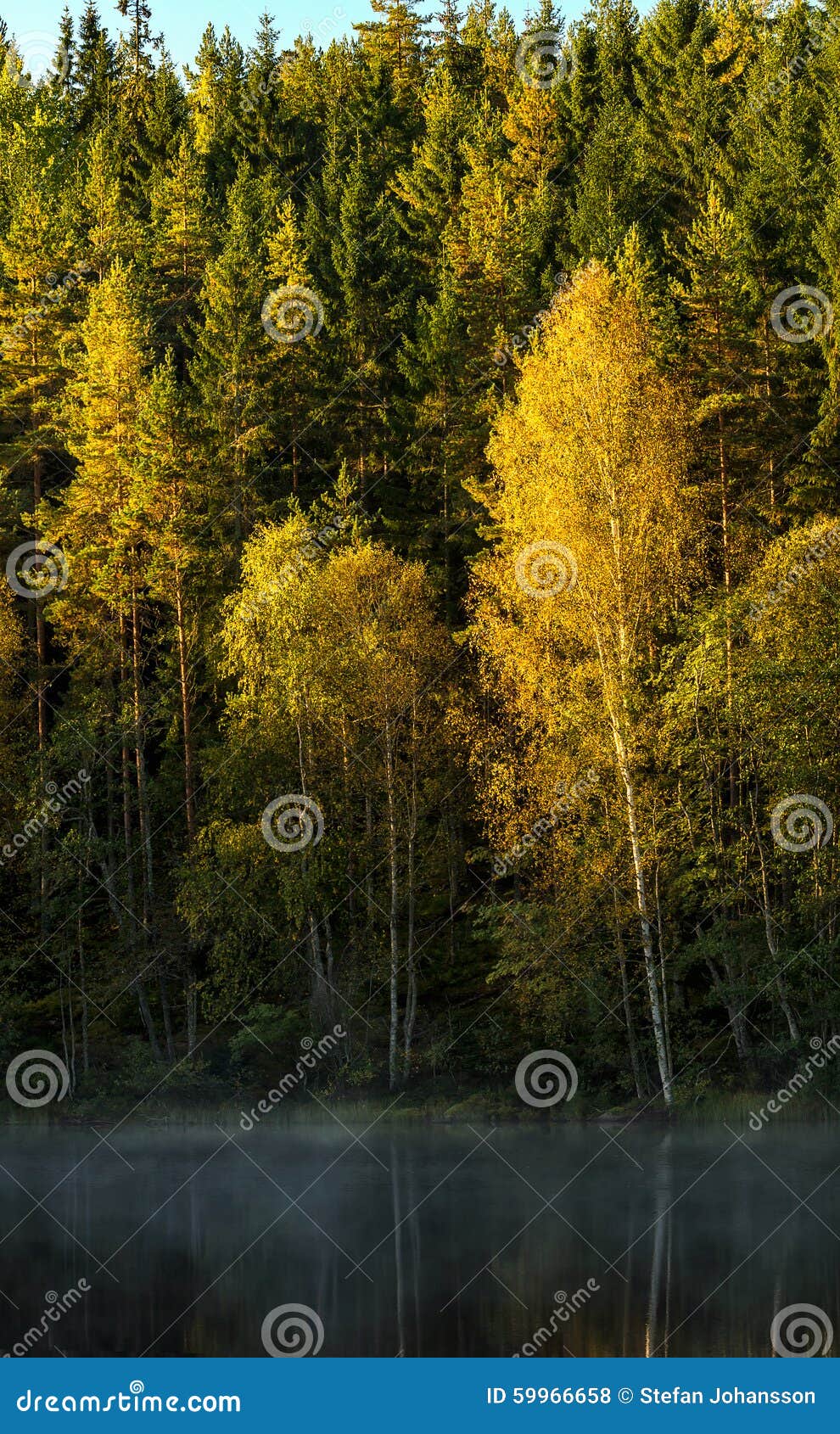 Fall color stock photo. Image of bright, sweden, scenic - 59966658