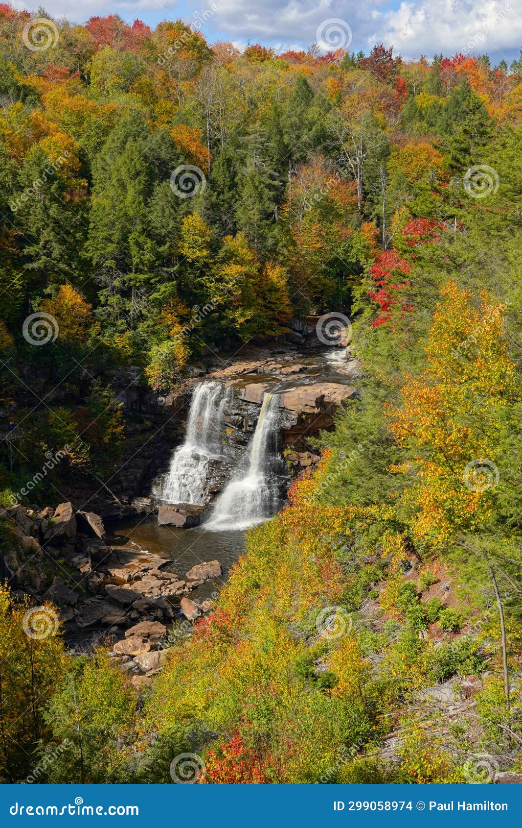 Fall Color in Blackwater Falls State Park Stock Photo - Image of fall ...