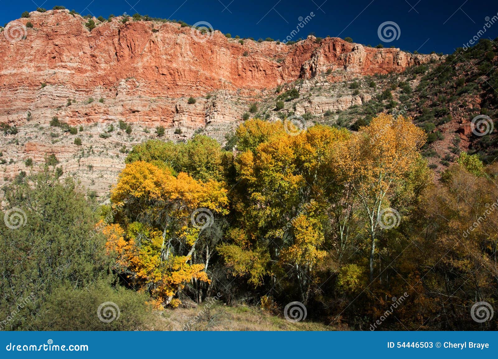 Fall color and bluff stock image. Image of trees, landscape - 54446503