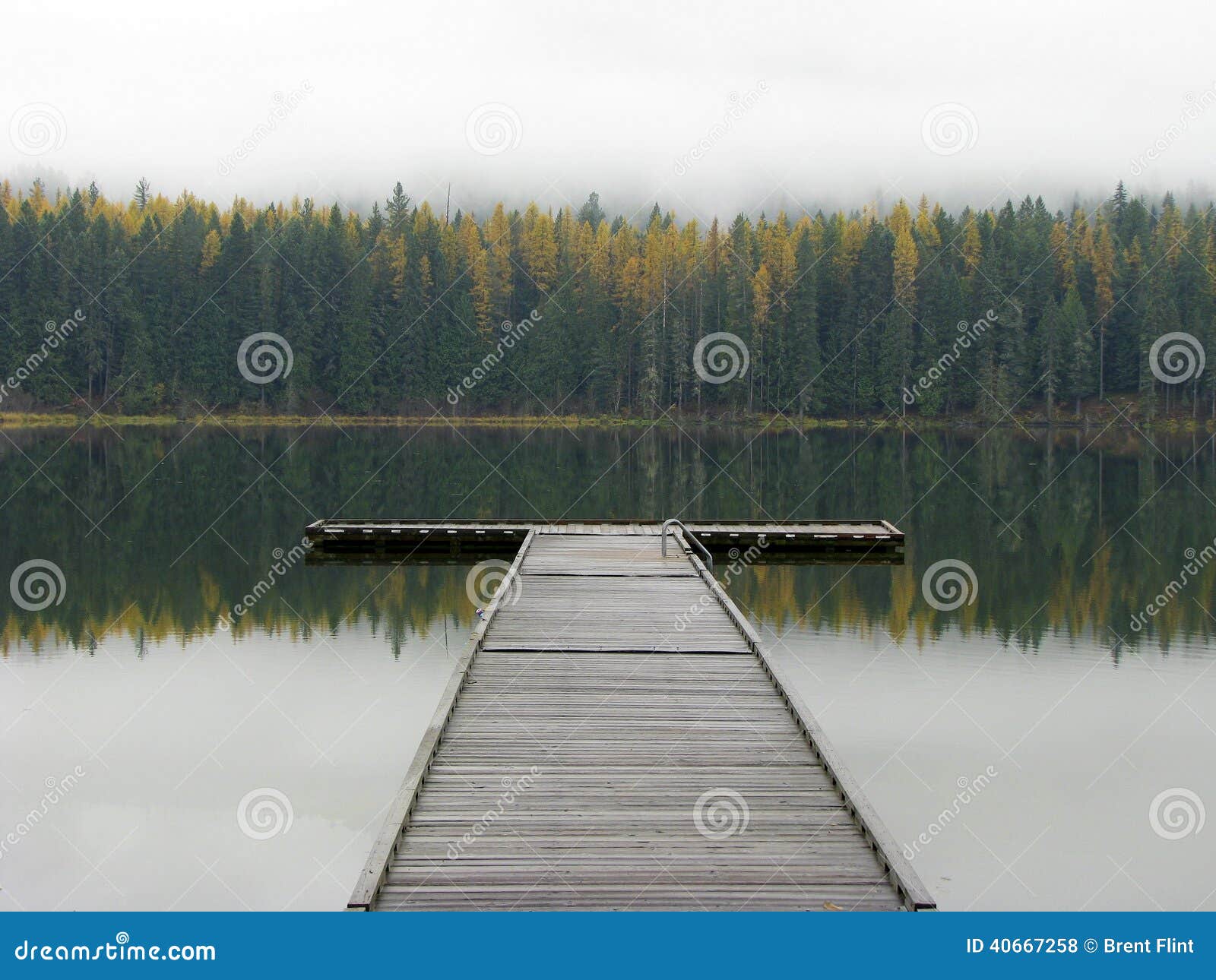 Fall color and dock, stock photo. Image of idaho, forest - 40667258