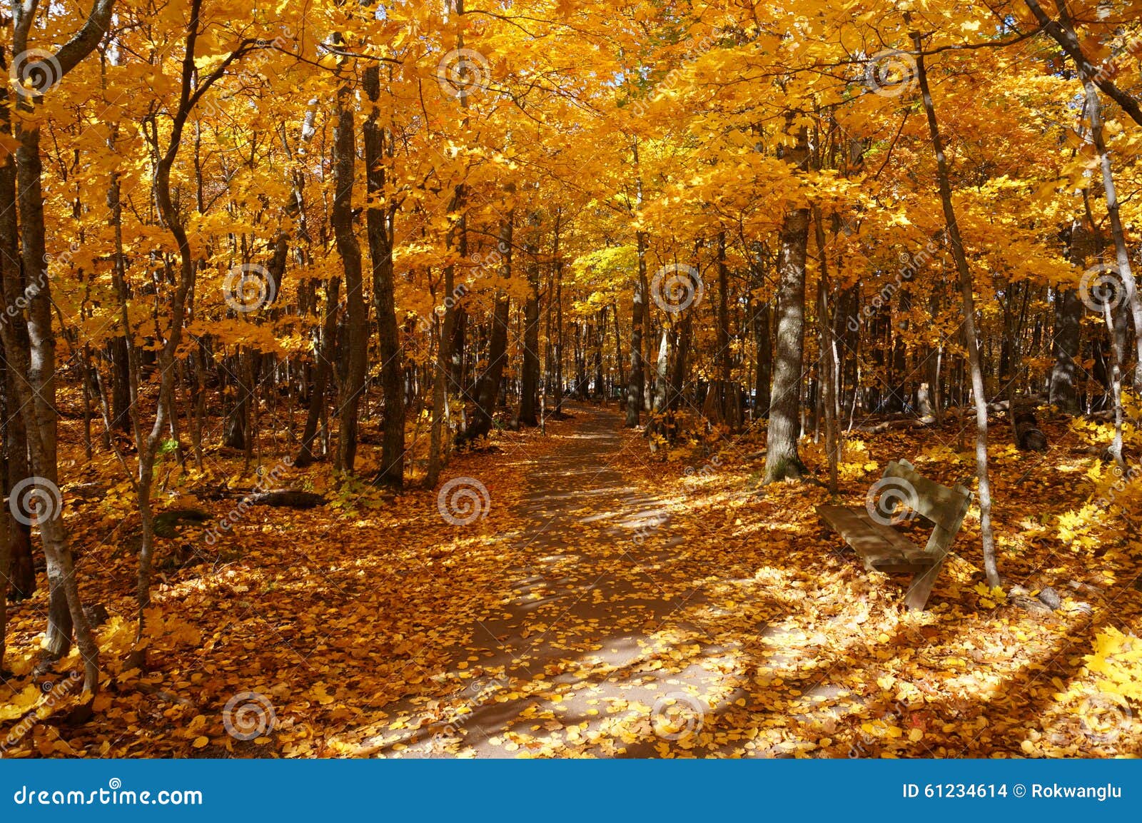 Fall color stock photo. Image of park, national, lake - 61234614