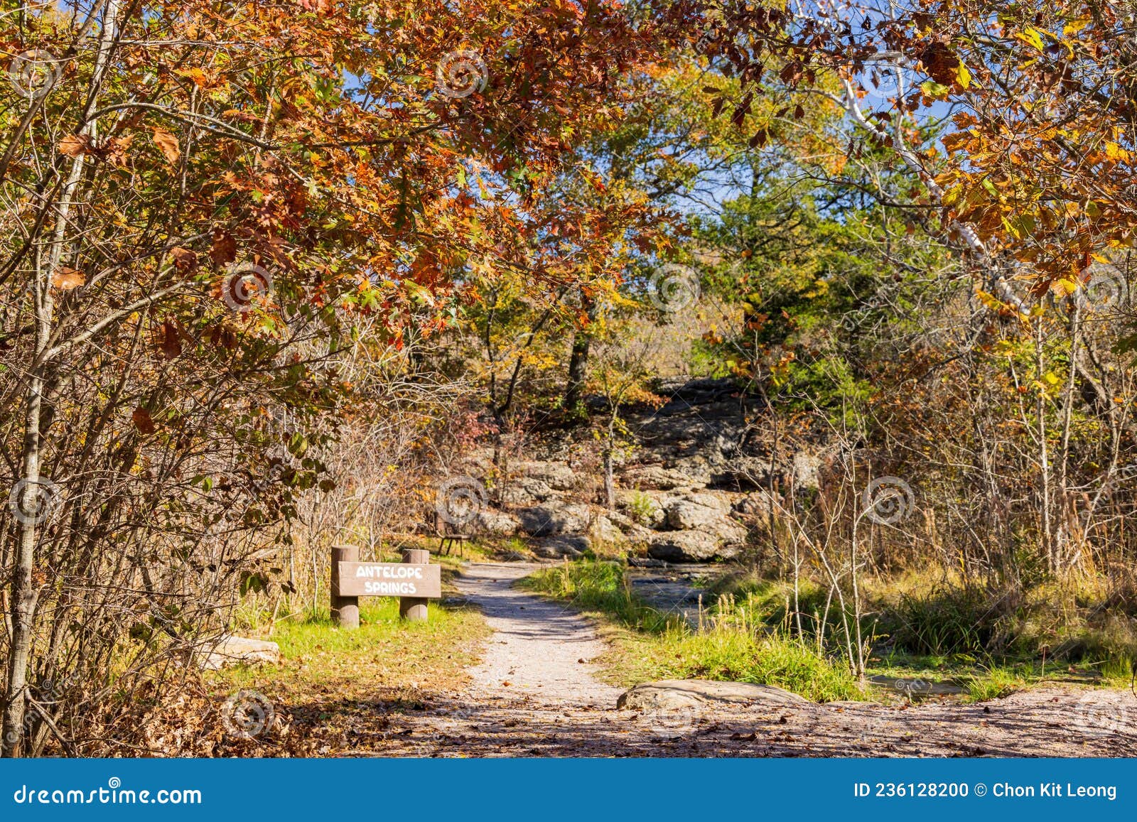 Fall Color of the Nature and Antelope Springs Stock Photo - Image of ...