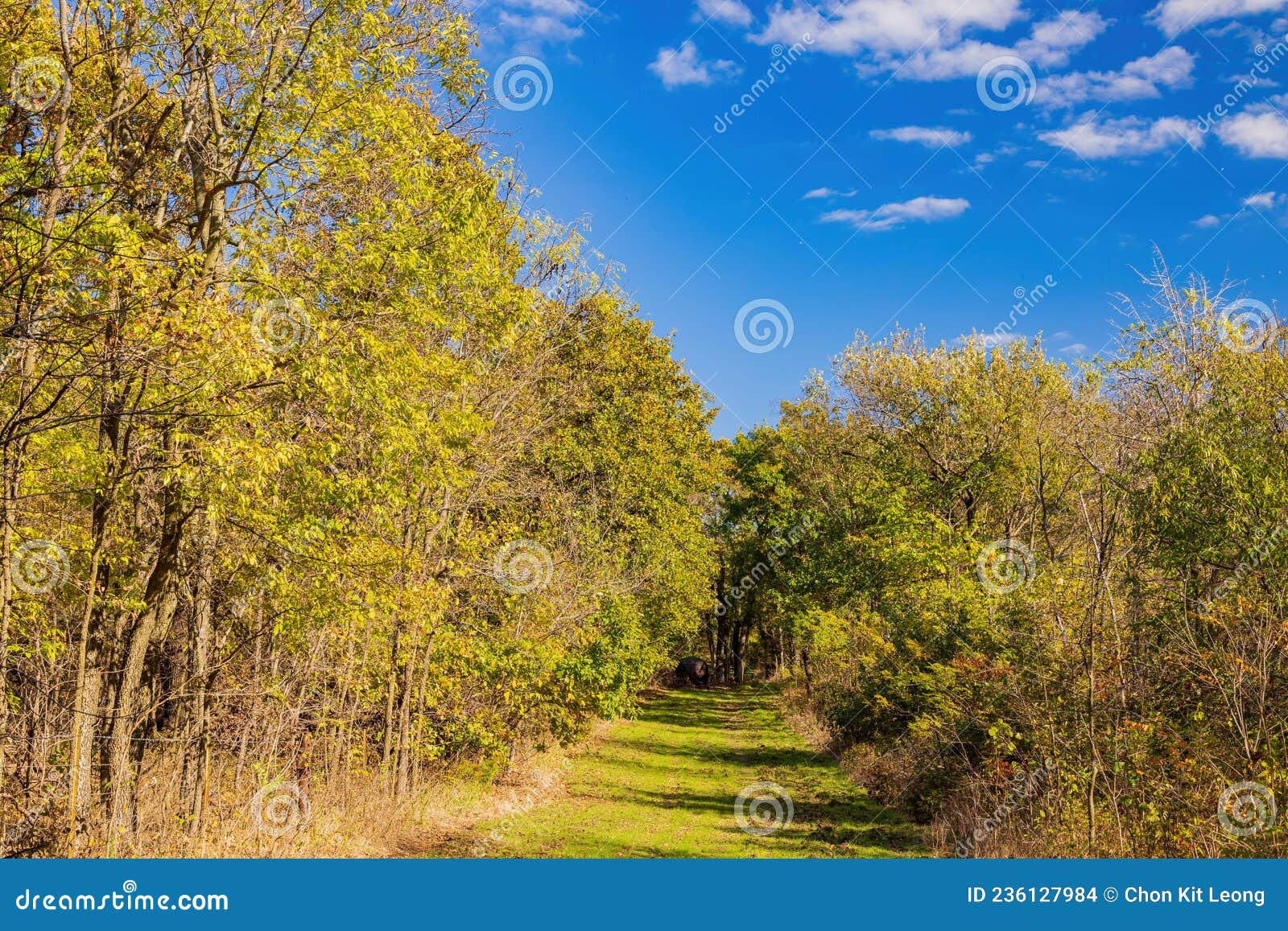 Fall Color Near the Eagle View Trail Stock Photo - Image of exterior ...