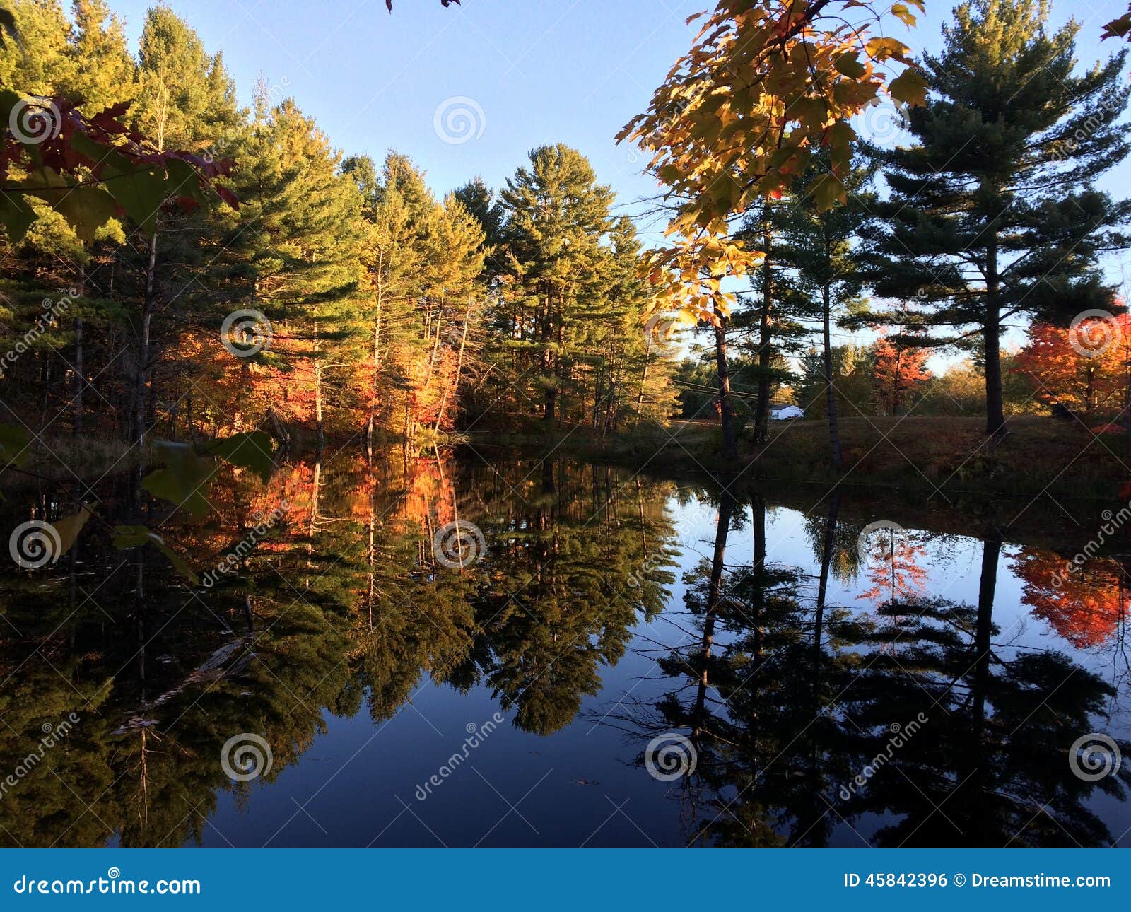 Fall color stock photo. Image of reflected, color, water - 45842396