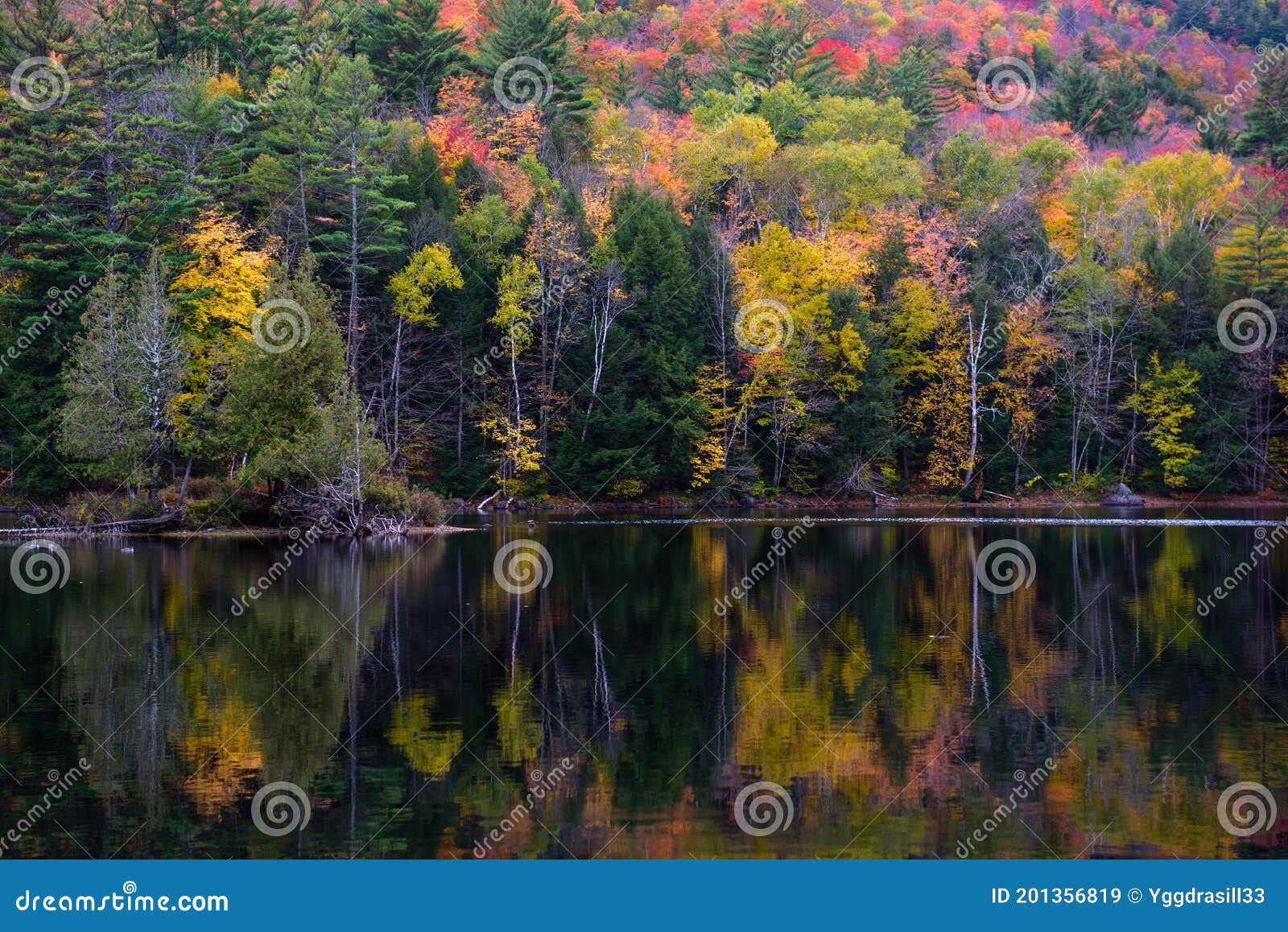 Fall Color Reflection on Black Water Stock Image - Image of foliage ...