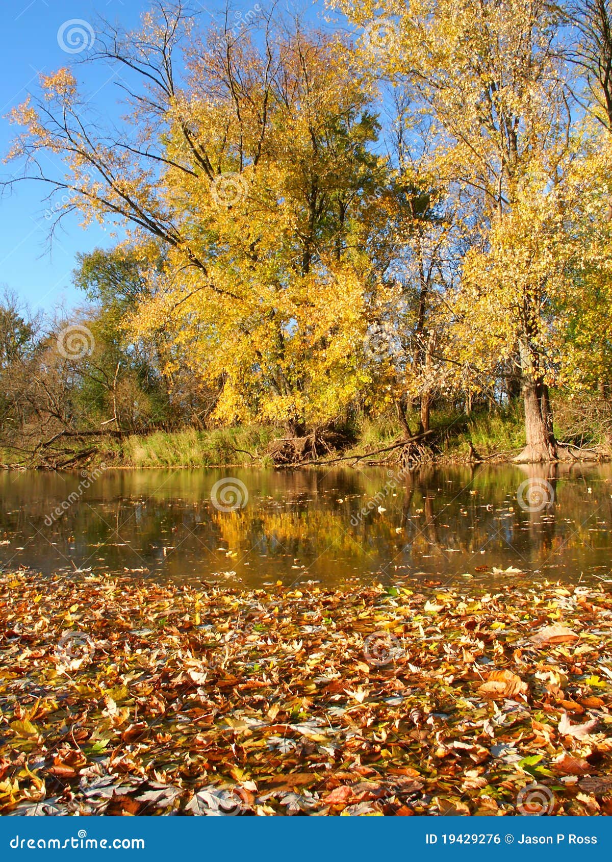 Fall Color Reflections stock photo. Image of kishwaukee - 19429276