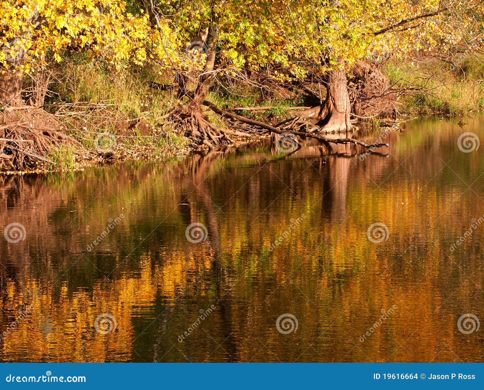 Fall Color Reflections stock photo. Image of shoreline - 19616664