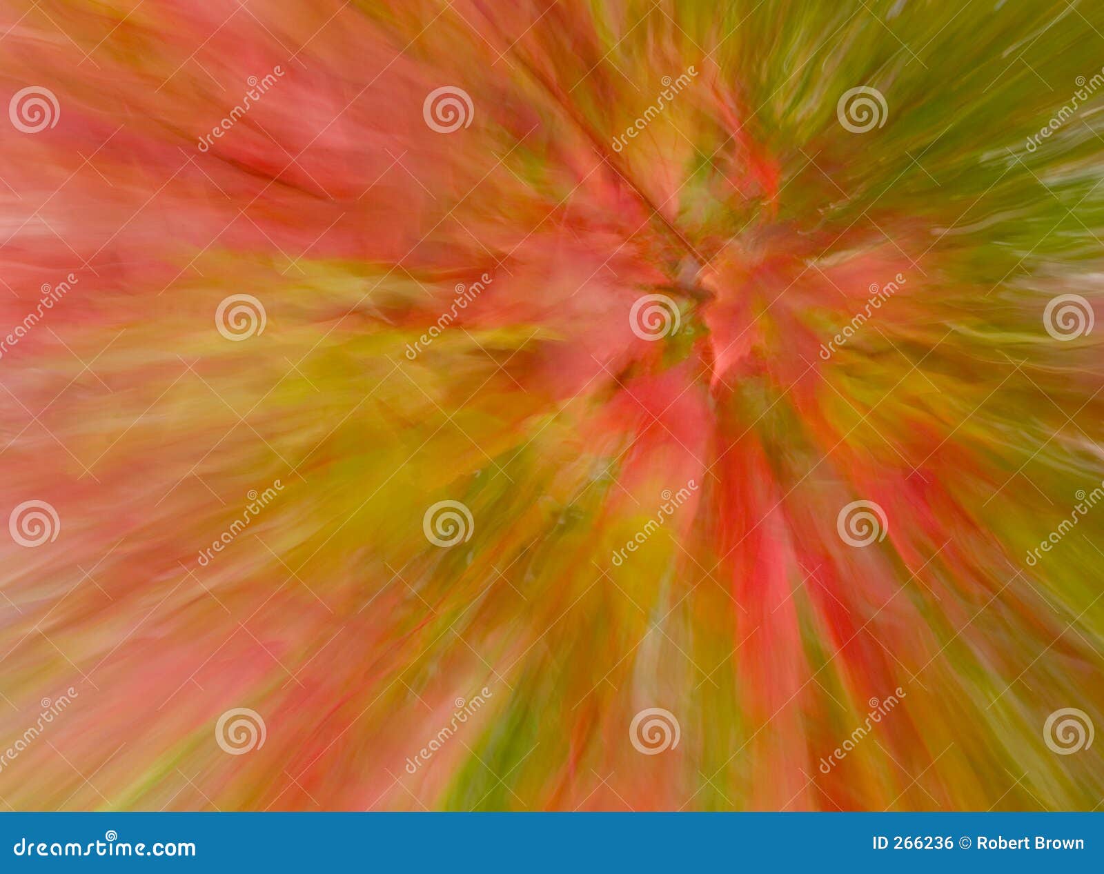 Fall Color, Zoomed stock illustration. Illustration of zooming - 266236