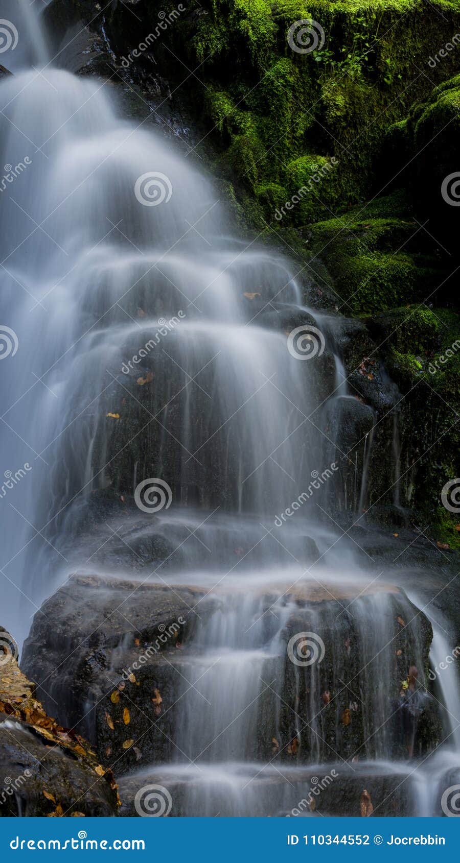 Fall Colored Leaves Accent the Soft Waterfall Stock Photo - Image of ...