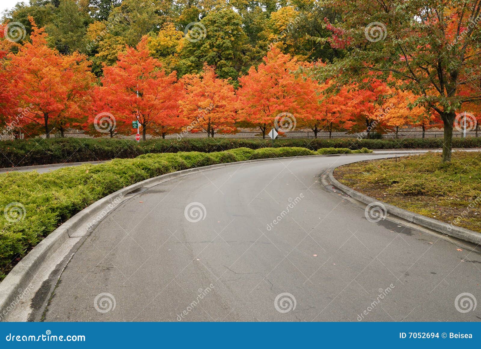 Fall Colored Road stock photo. Image of highway, fall - 7052694