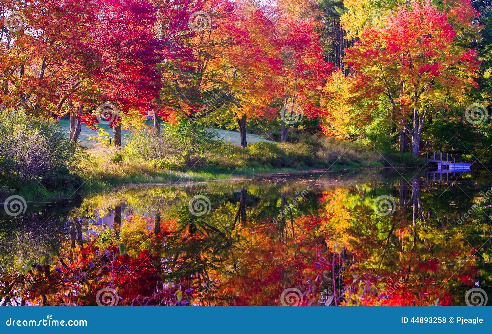 Fall Colored Trees Along River Stock Photo - Image of reflection, trees ...