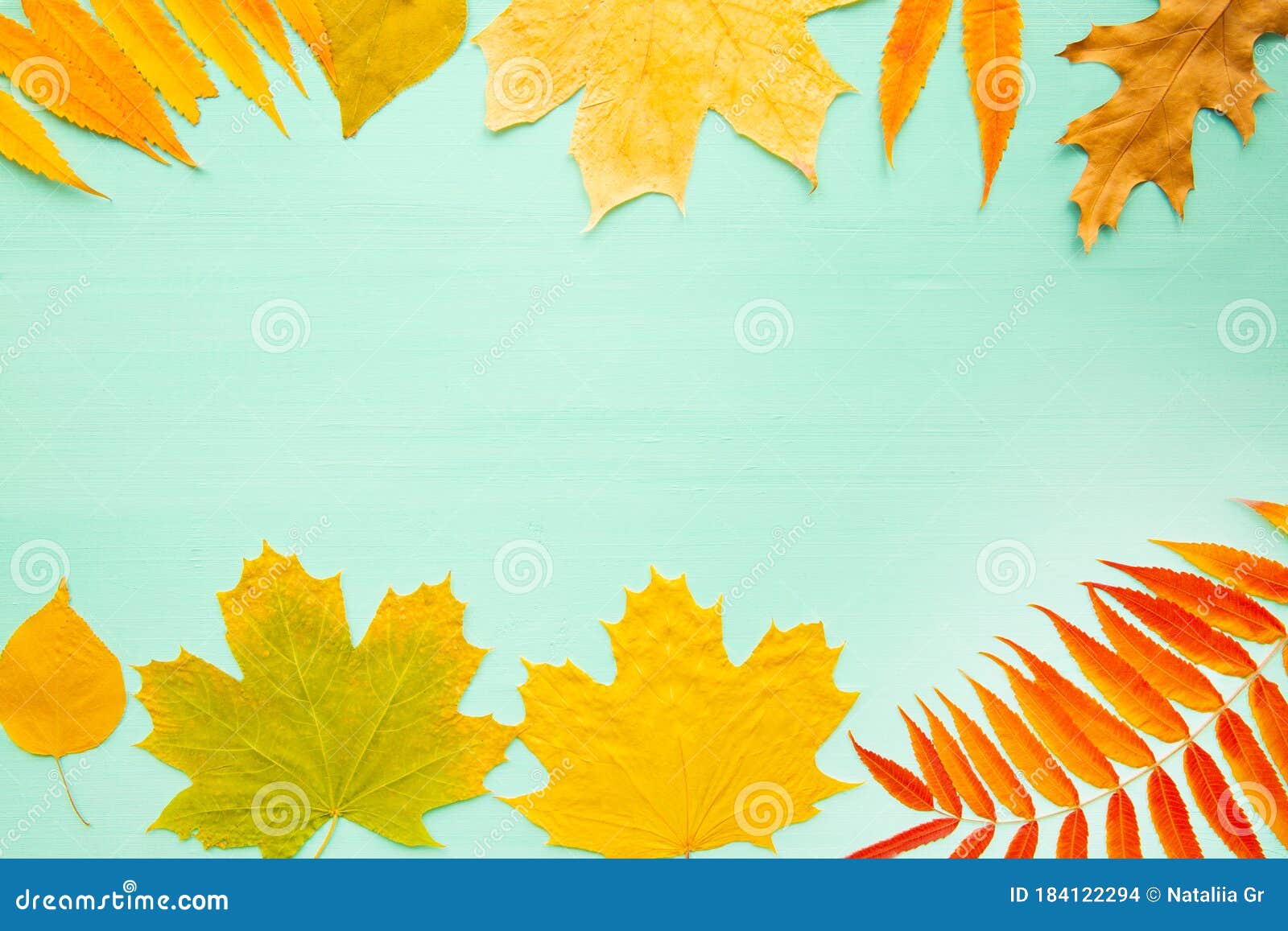 Fall Colorful Leaves on Turquoise Table Background, Space for Text ...
