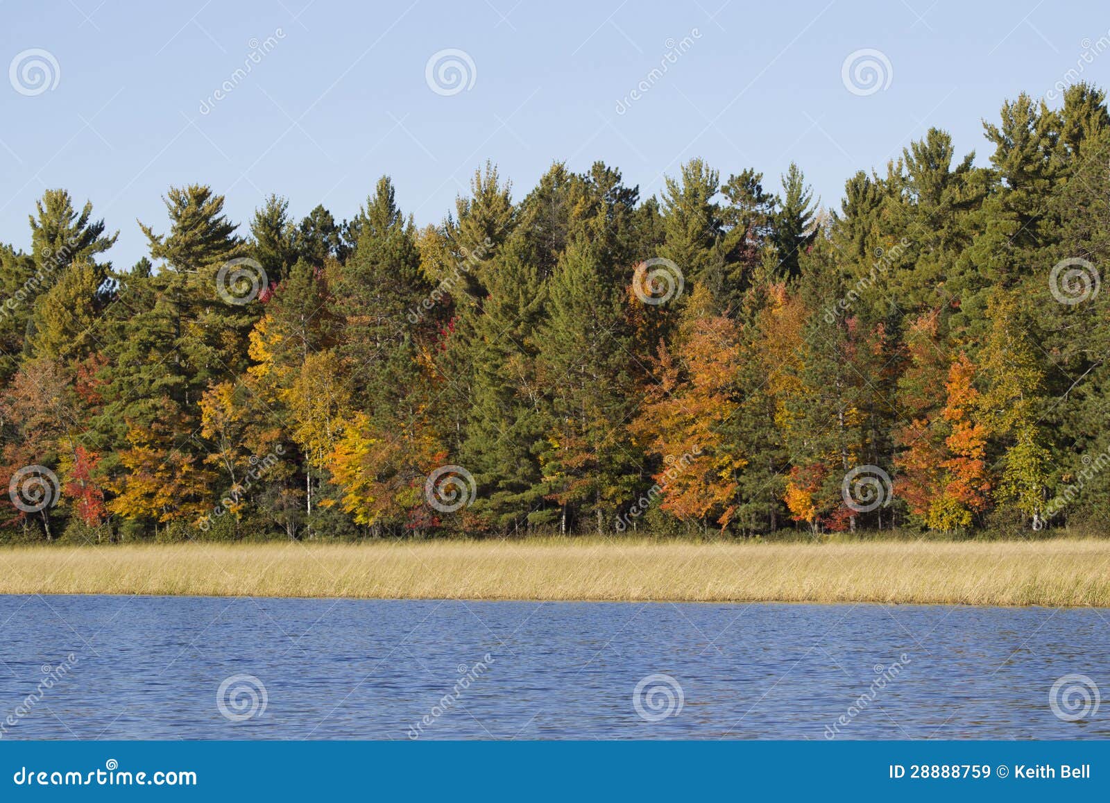 Fall Colorful Scene on the Wisconsin River Stock Image - Image of wild ...