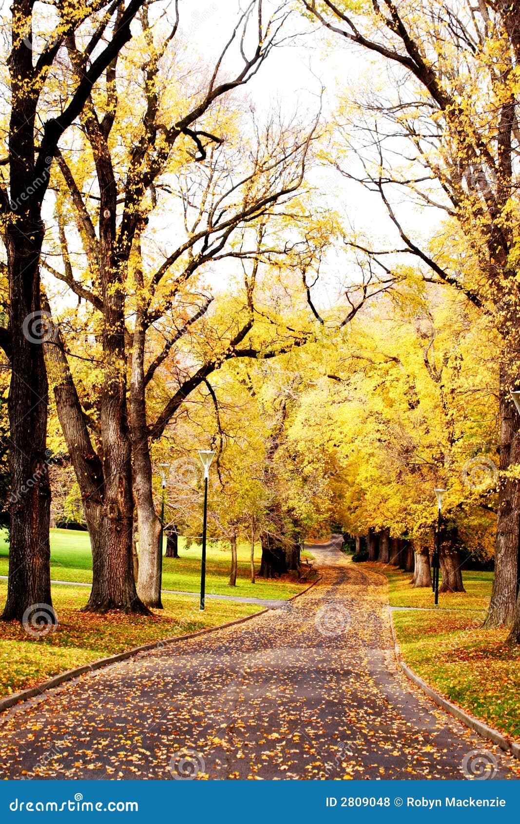 Fall Colors stock photo. Image of direction, colors, fall - 2809048