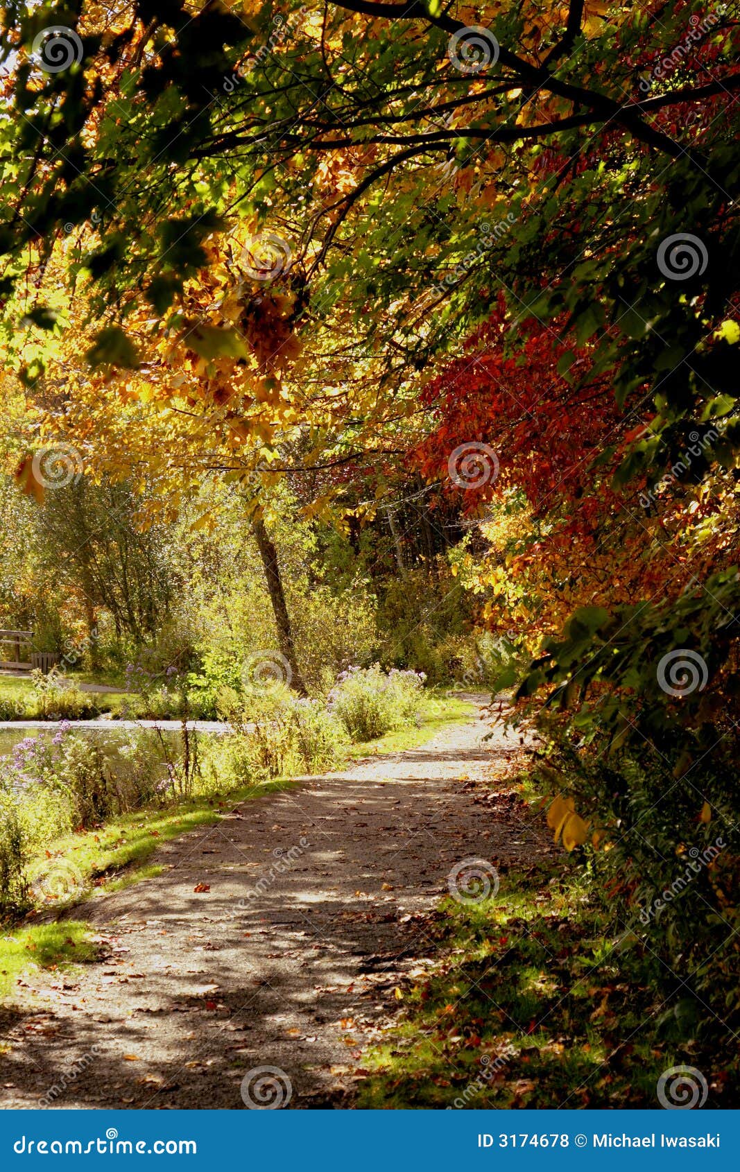 Fall colors stock photo. Image of scenic, park, setting - 3174678